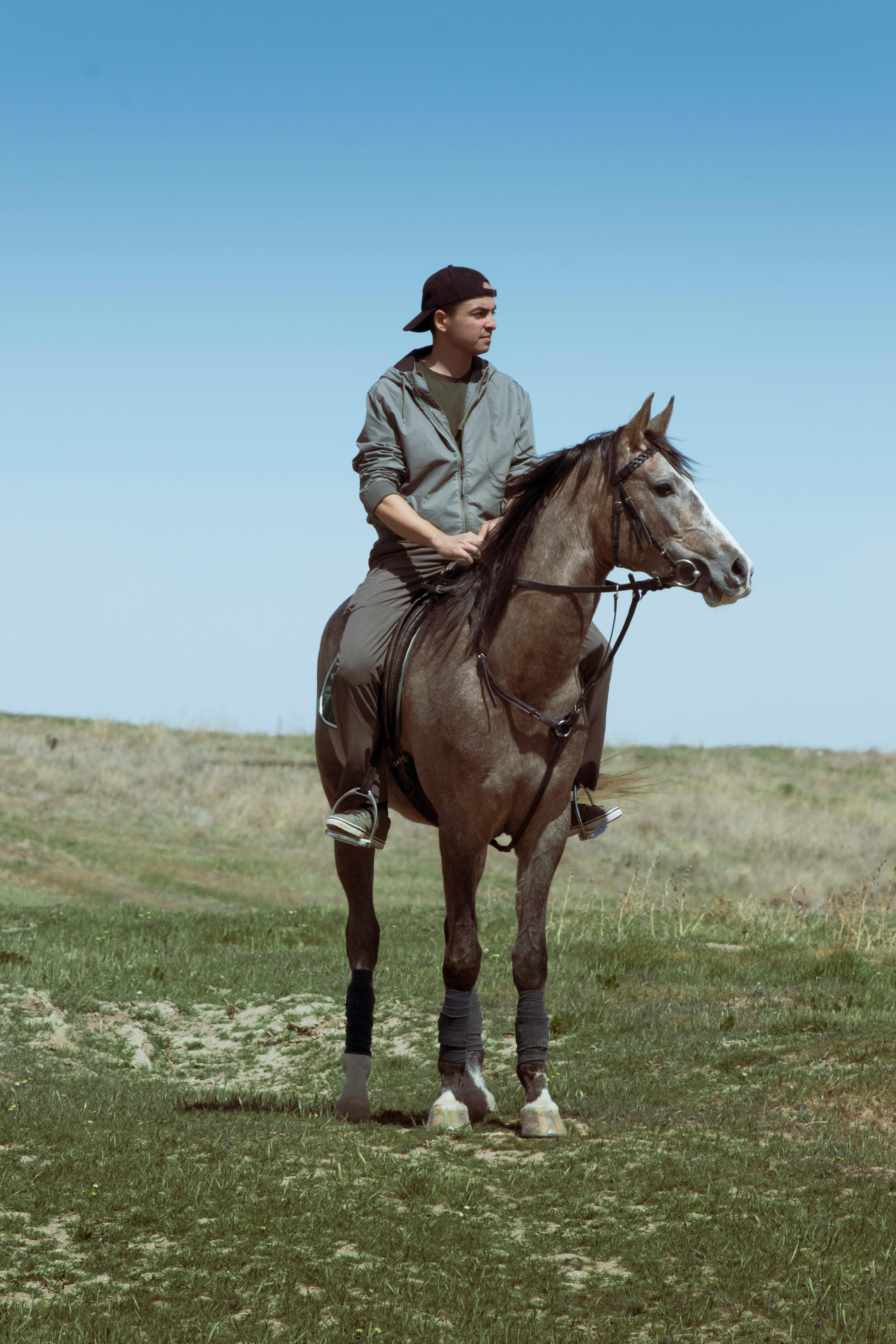 Horse Riding · Free Stock Photo