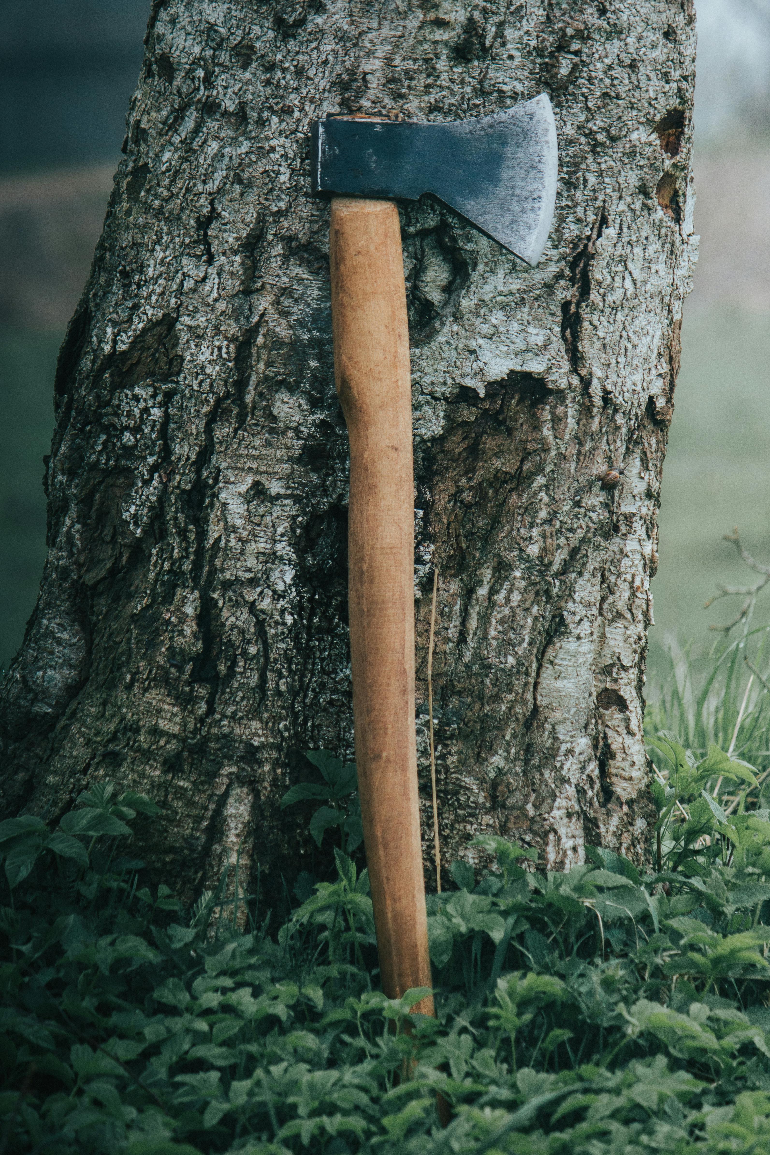 Axe near Tree · Free Stock Photo