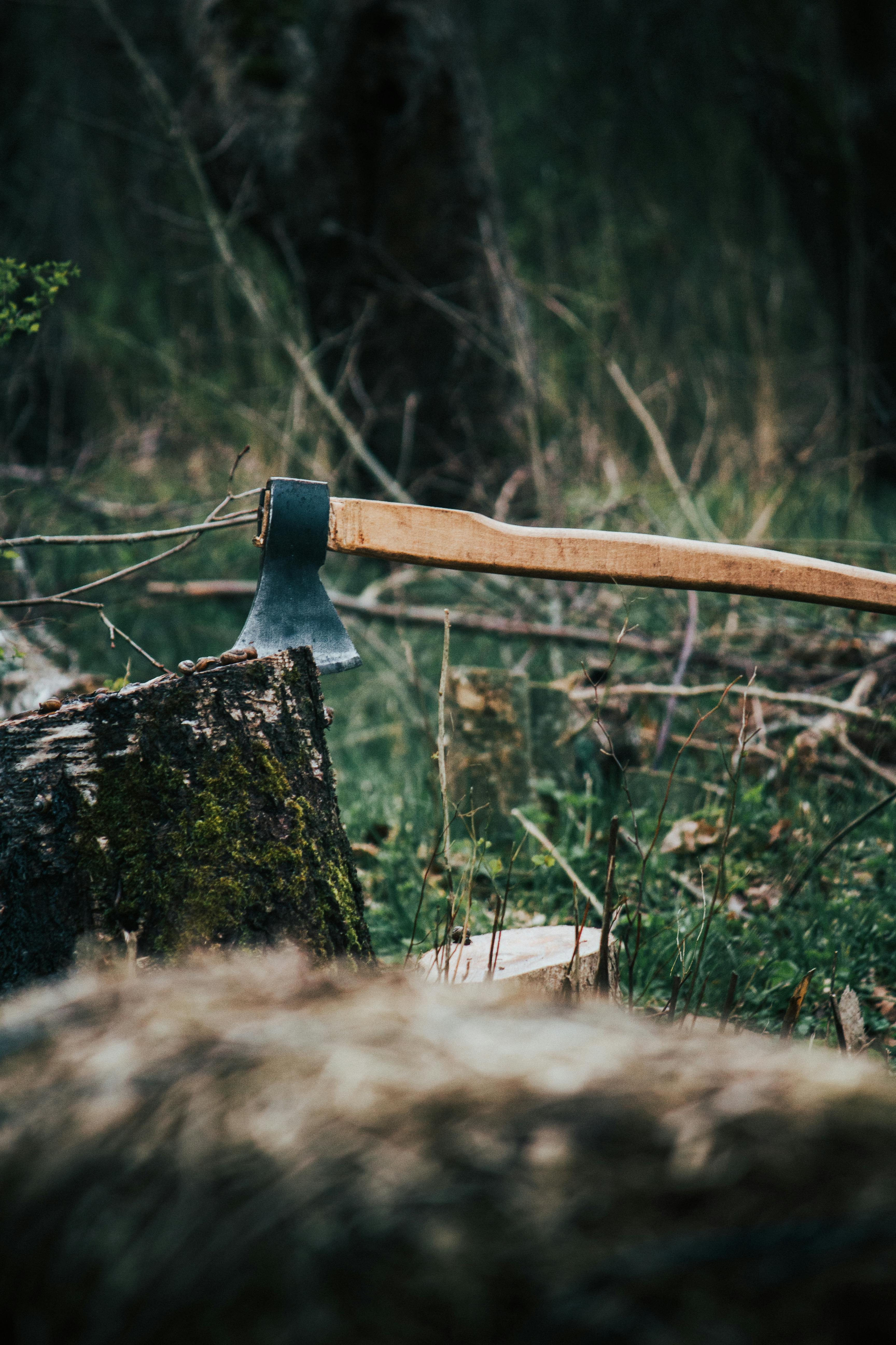 Axe on Tree Trunk · Free Stock Photo