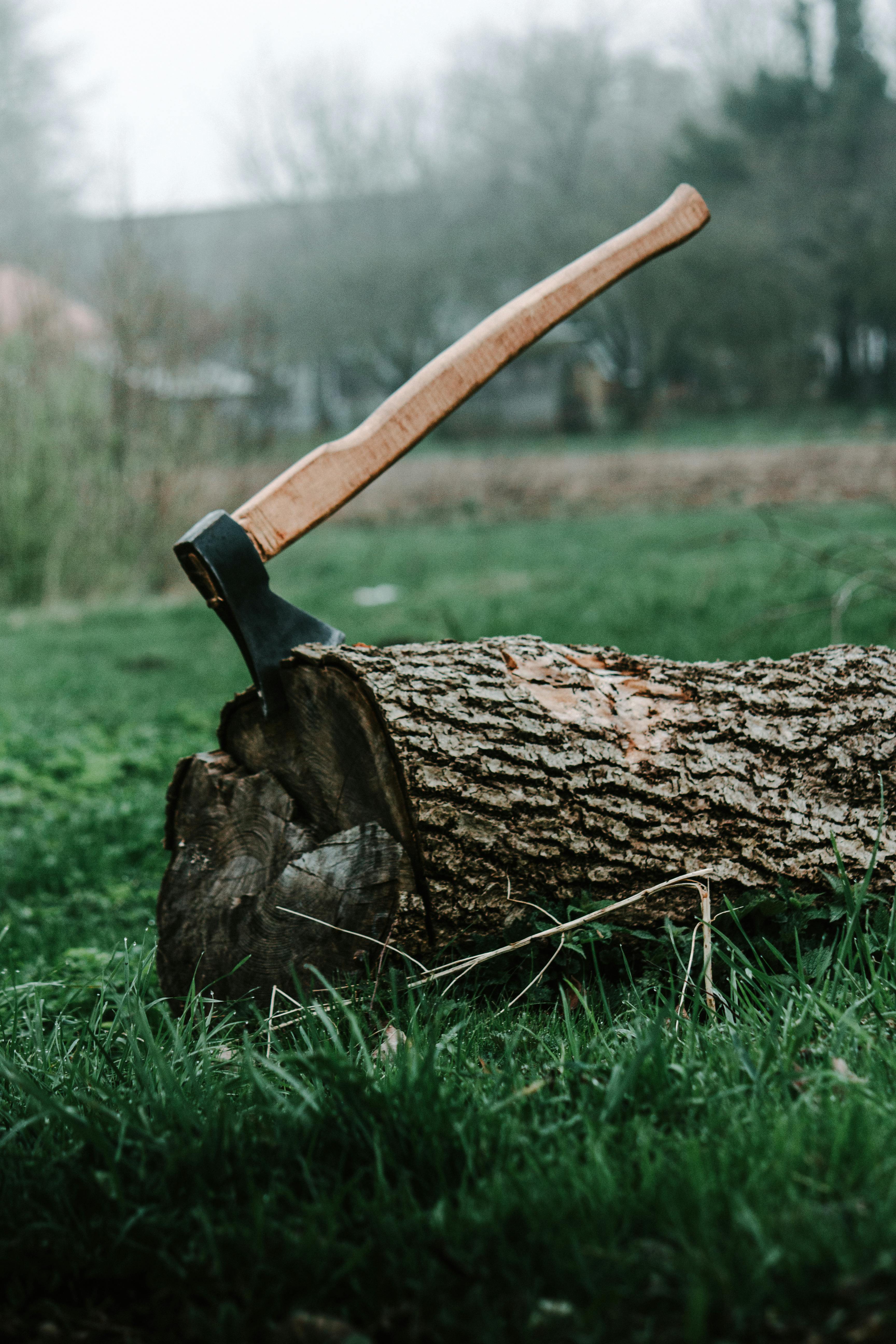 Axe in Tree Trunk on Grass · Free Stock Photo