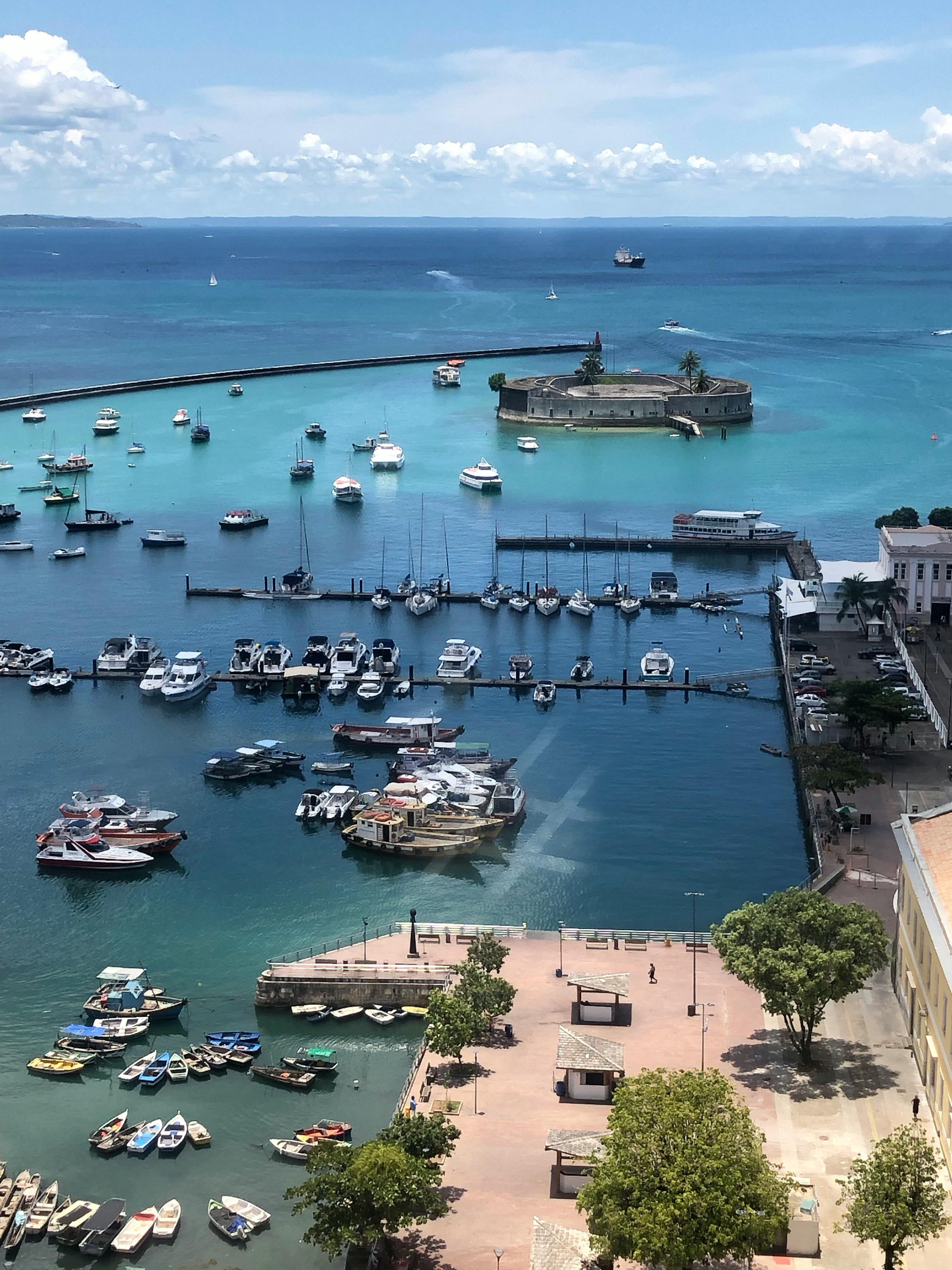 Marcelo Photos, Download The BEST Free Marcelo Stock Photos & HD Images