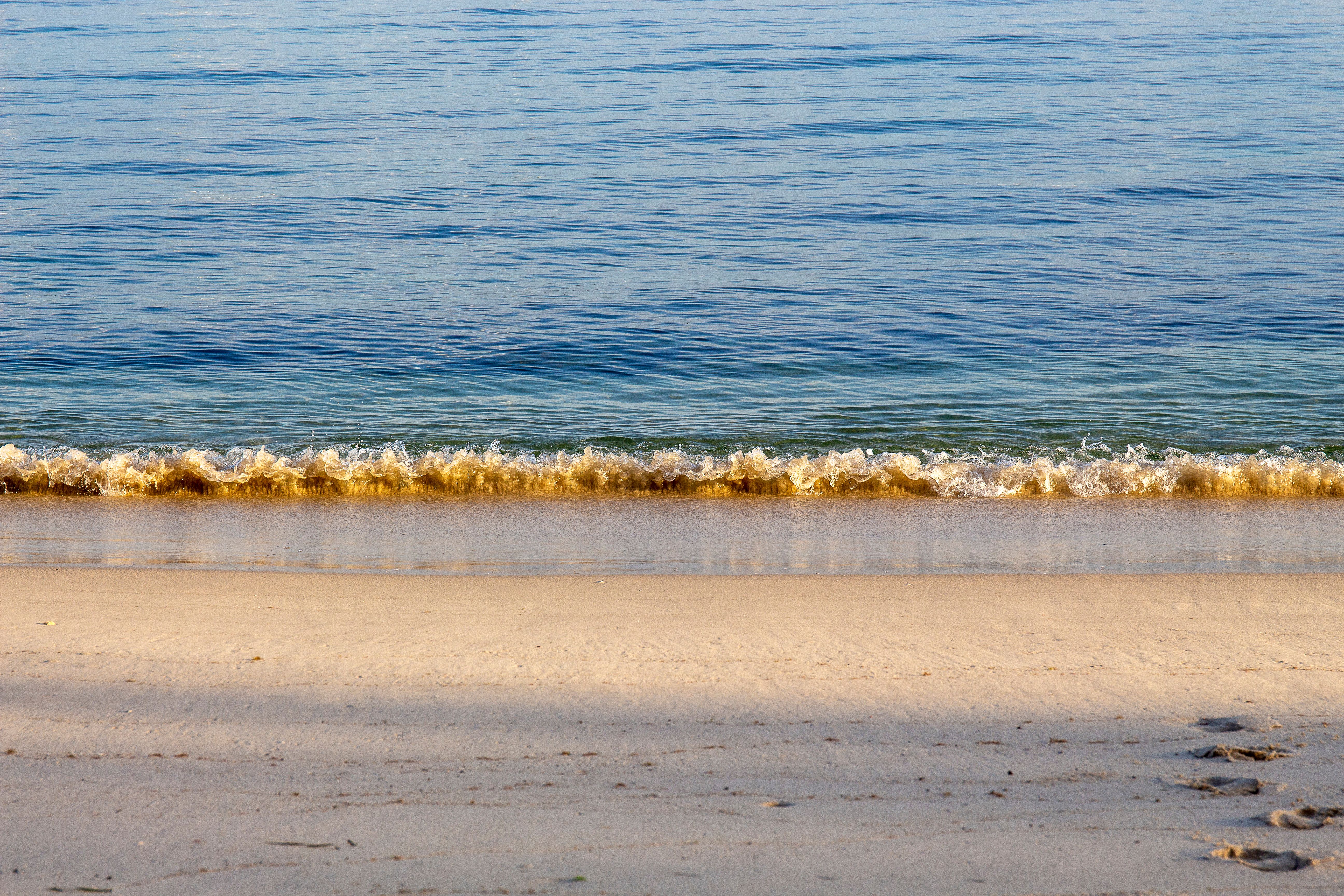 View of a Wave Washing Up the Beach · Free Stock Photo