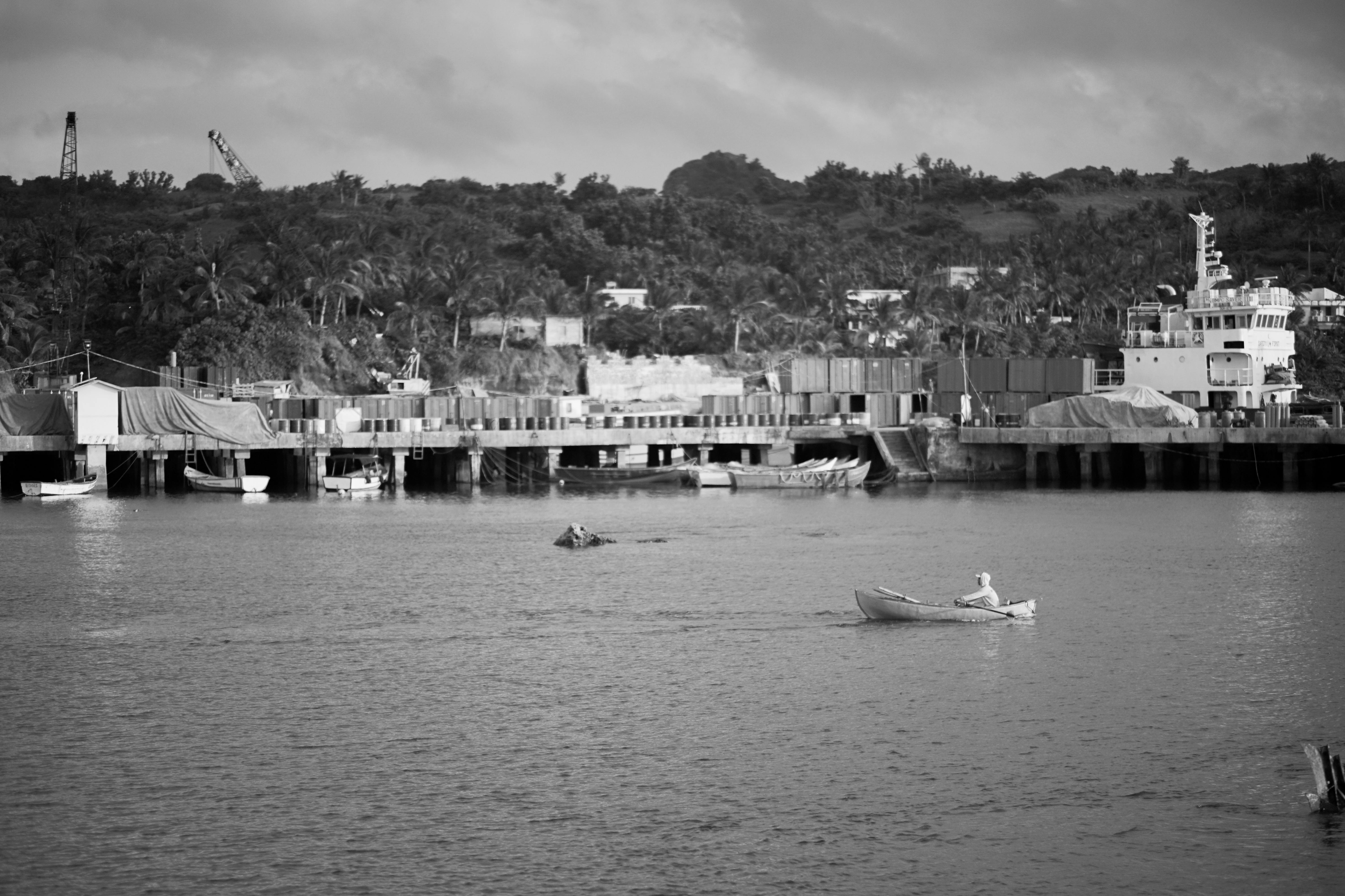 Man in Rowboat in Harbor · Free Stock Photo