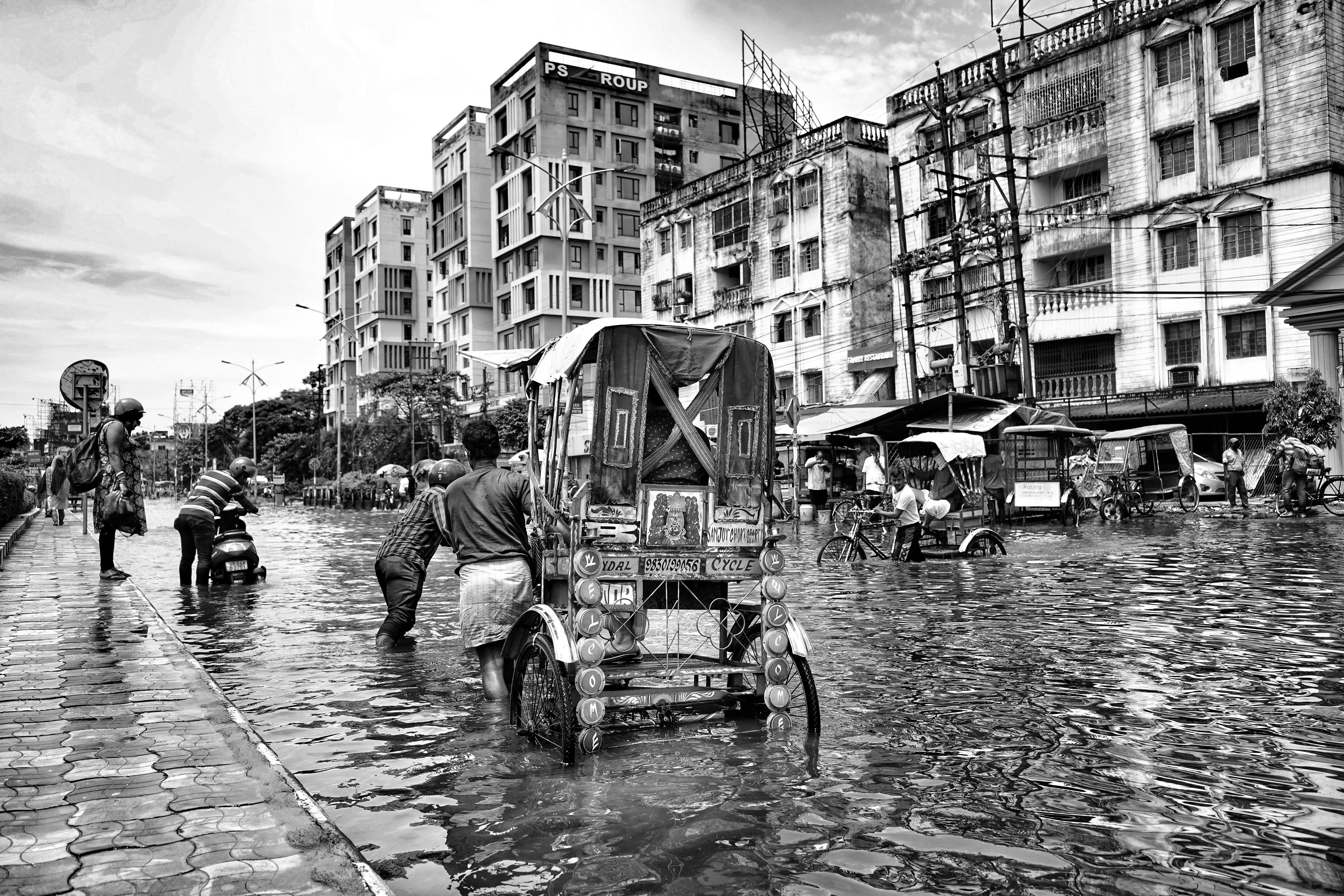 Waterlogged 11. · Free Stock Photo
