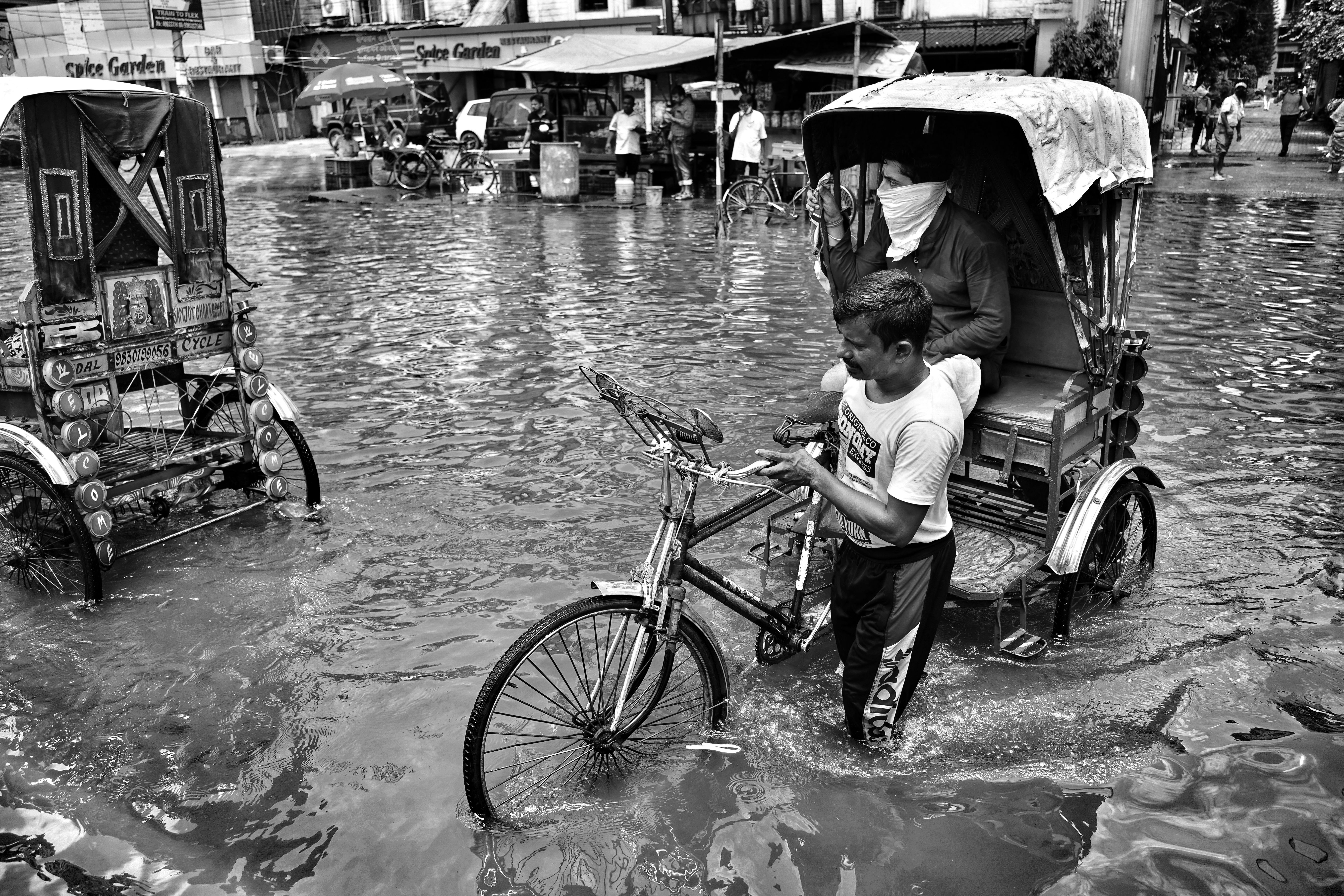 Waterlogged 13. · Free Stock Photo