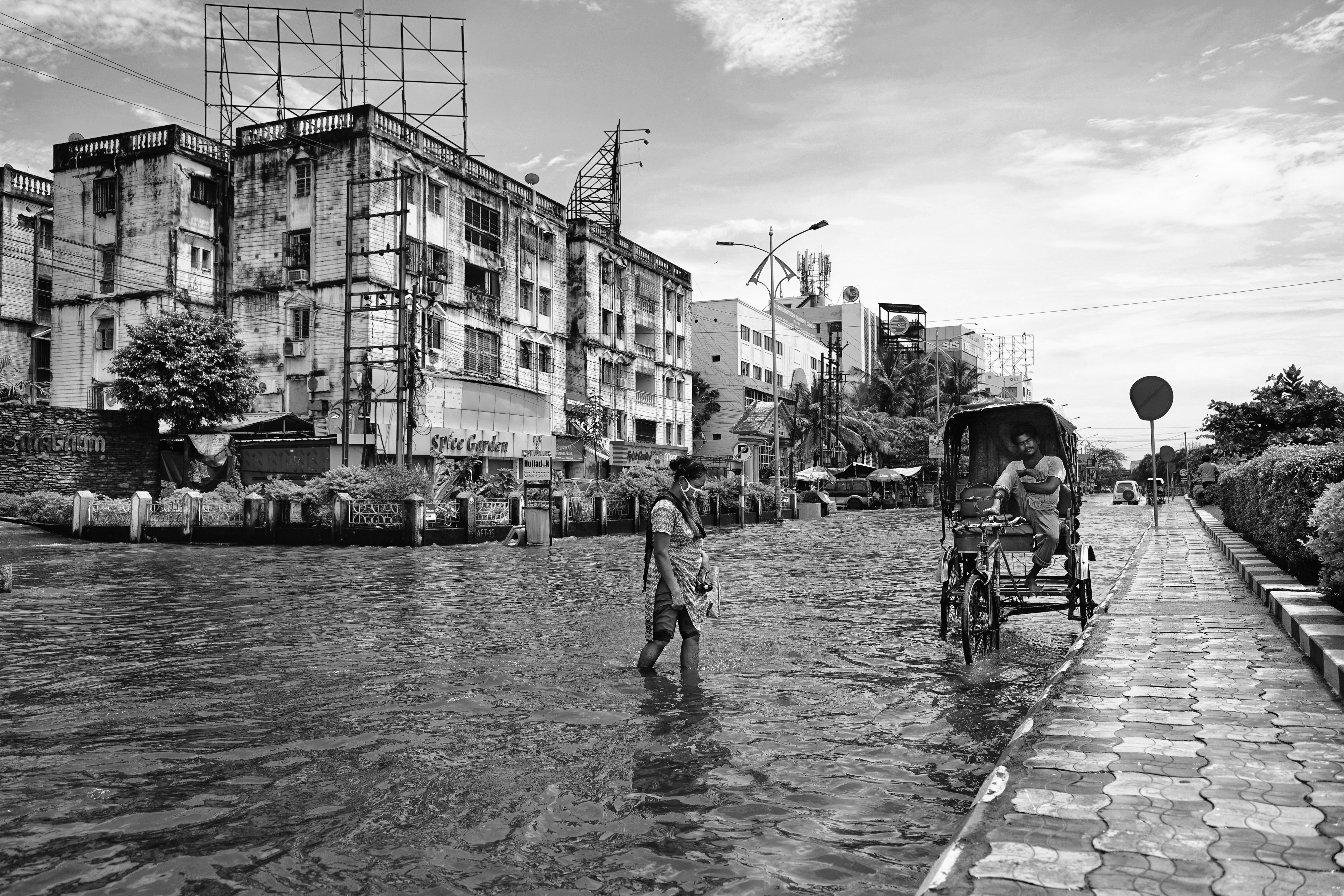 Waterlogged 15. · Free Stock Photo