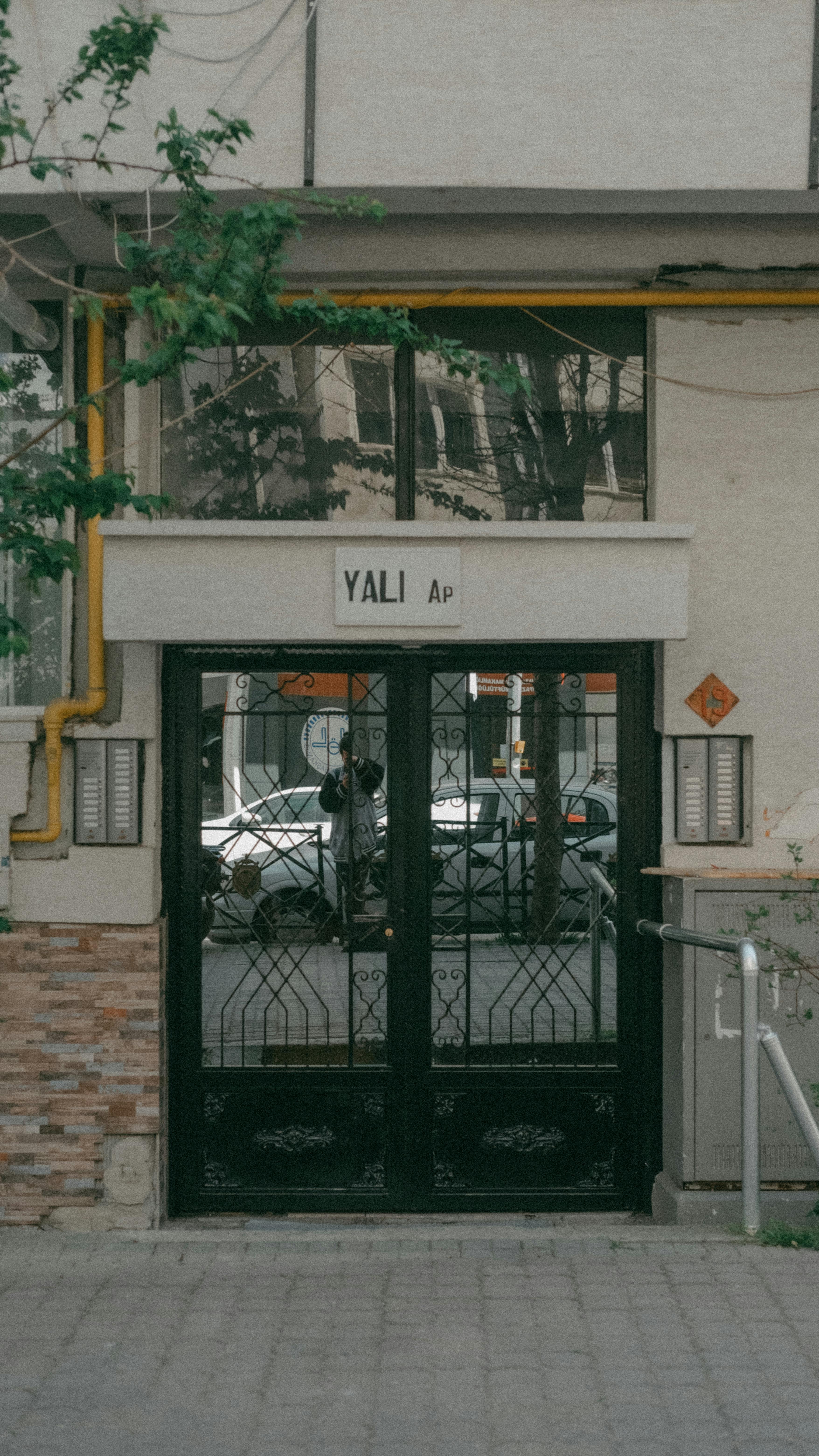 Yali Photos, Download The BEST Free Yali Stock Photos & HD Images