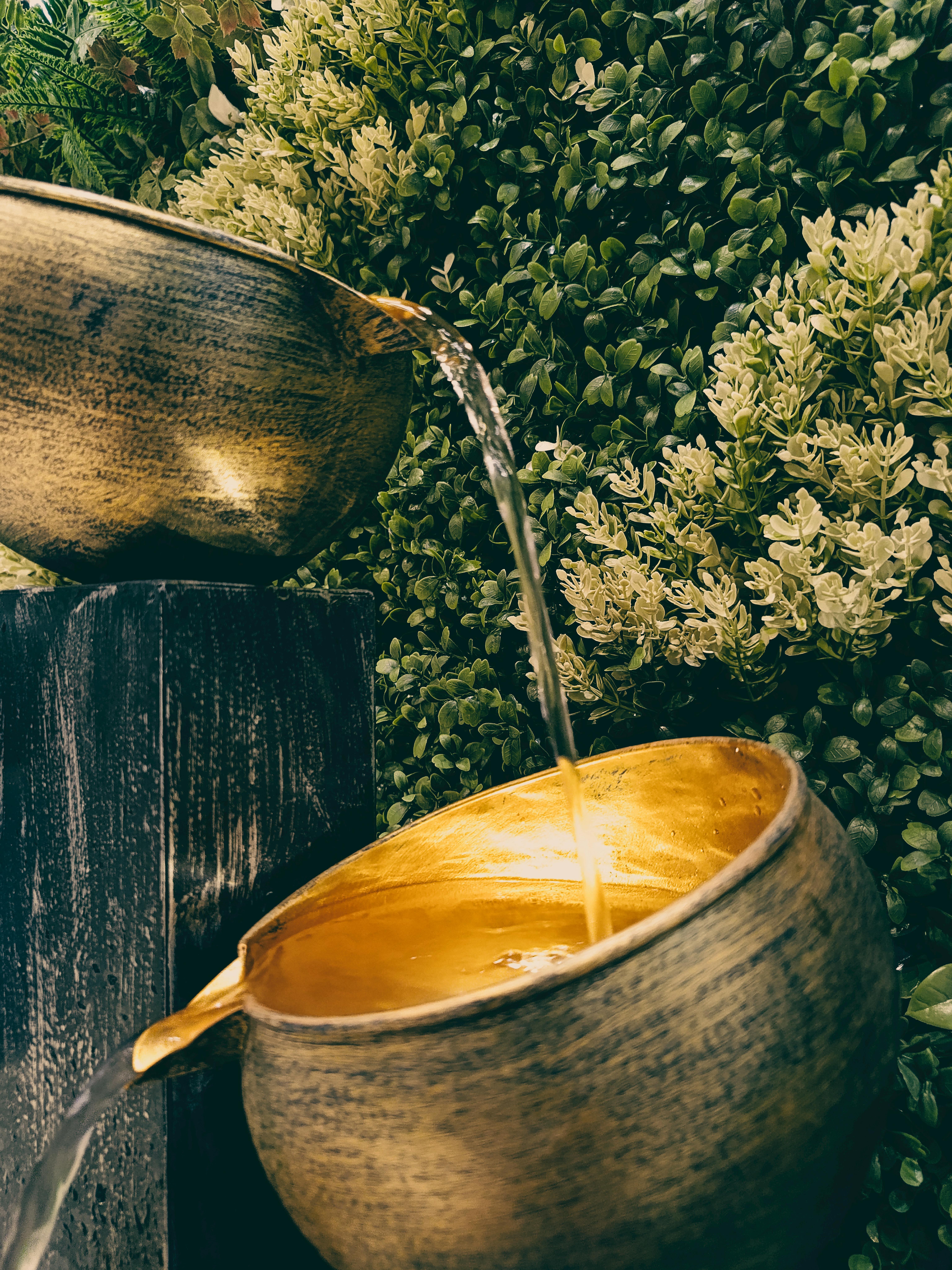 Pouring Water from Pots to Pots · Free Stock Photo