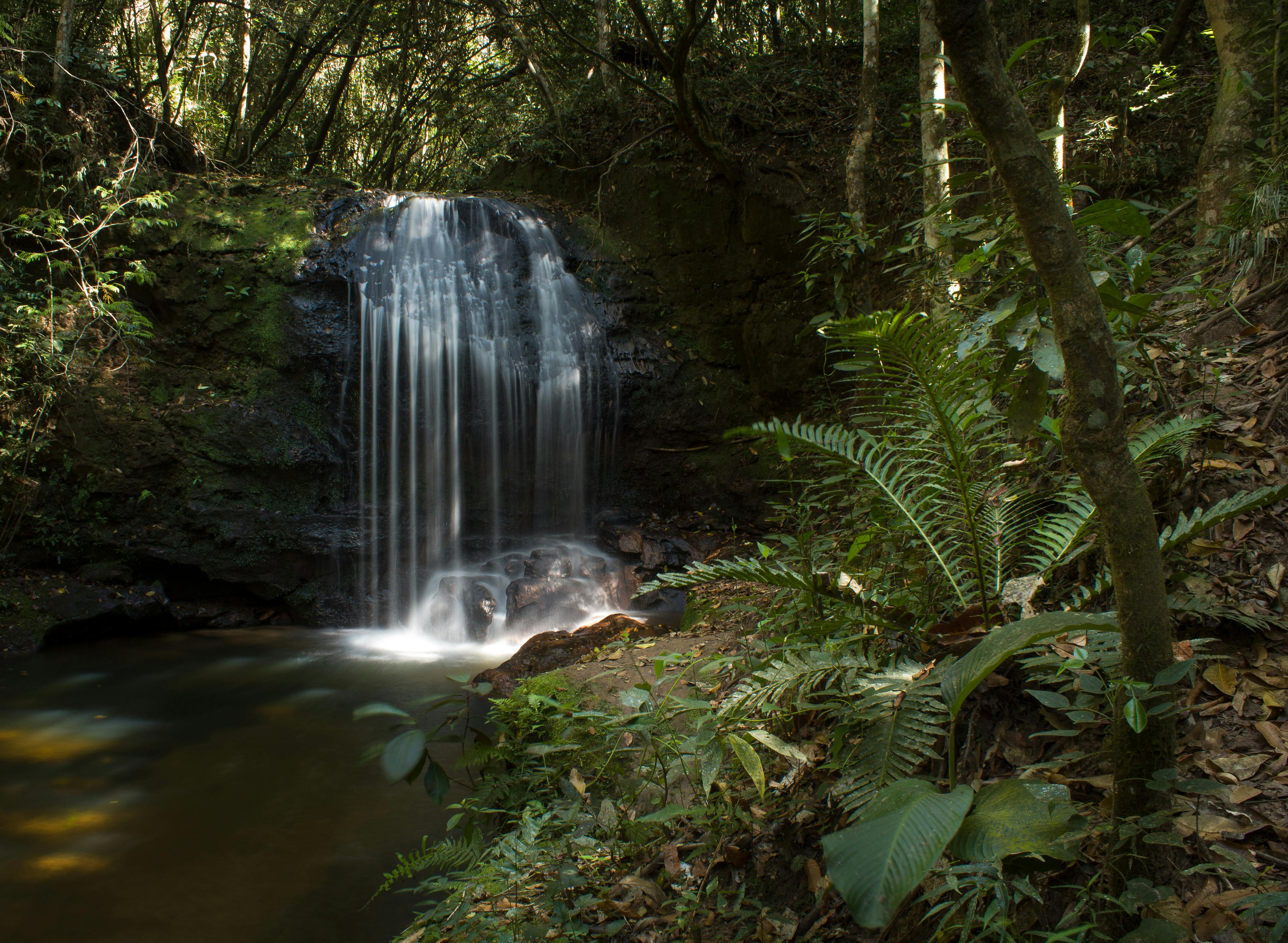 Waterfall in Deep Forest · Free Stock Photo