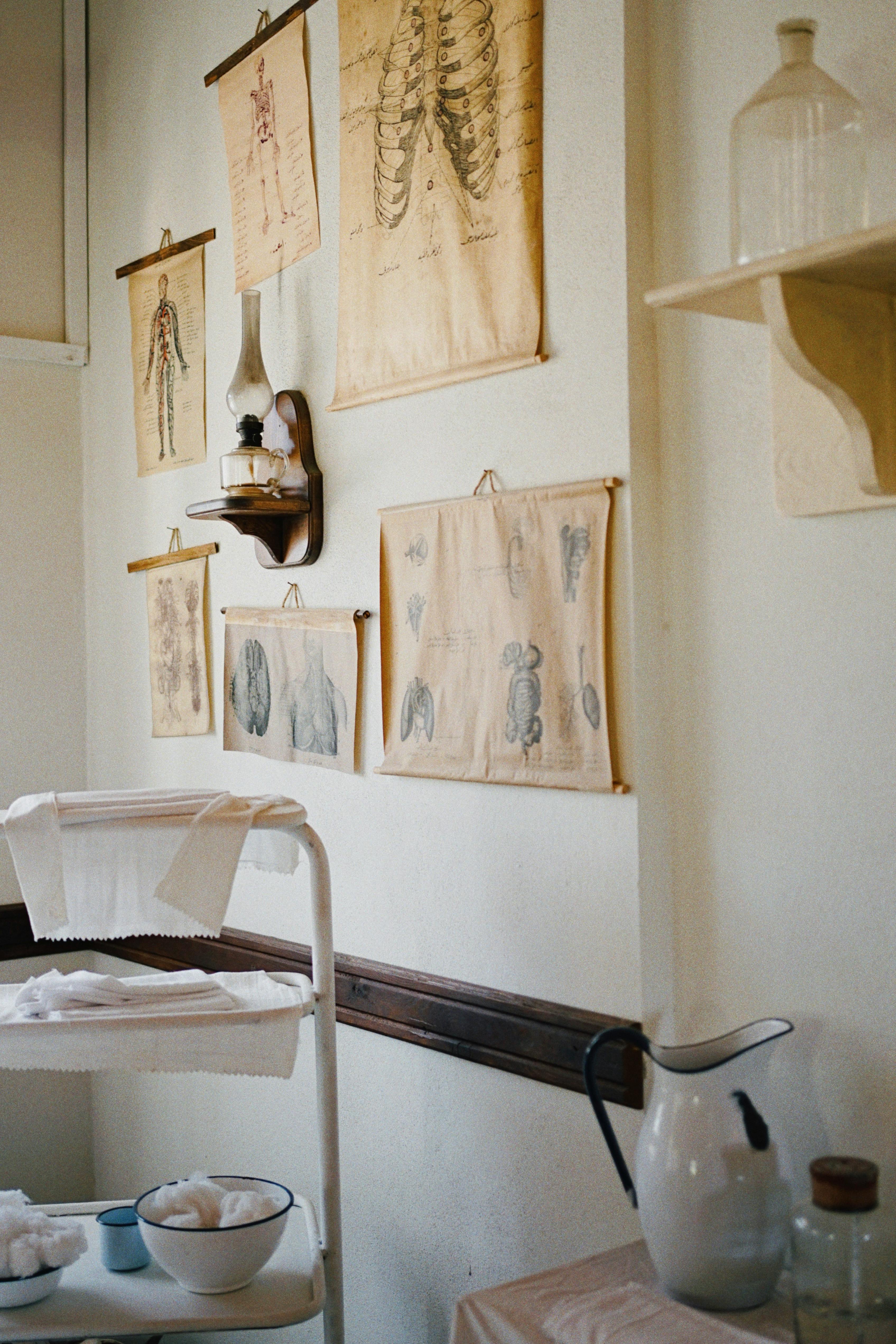 Biology and Anatomy Drawings Hanging on Wall · Free Stock Photo