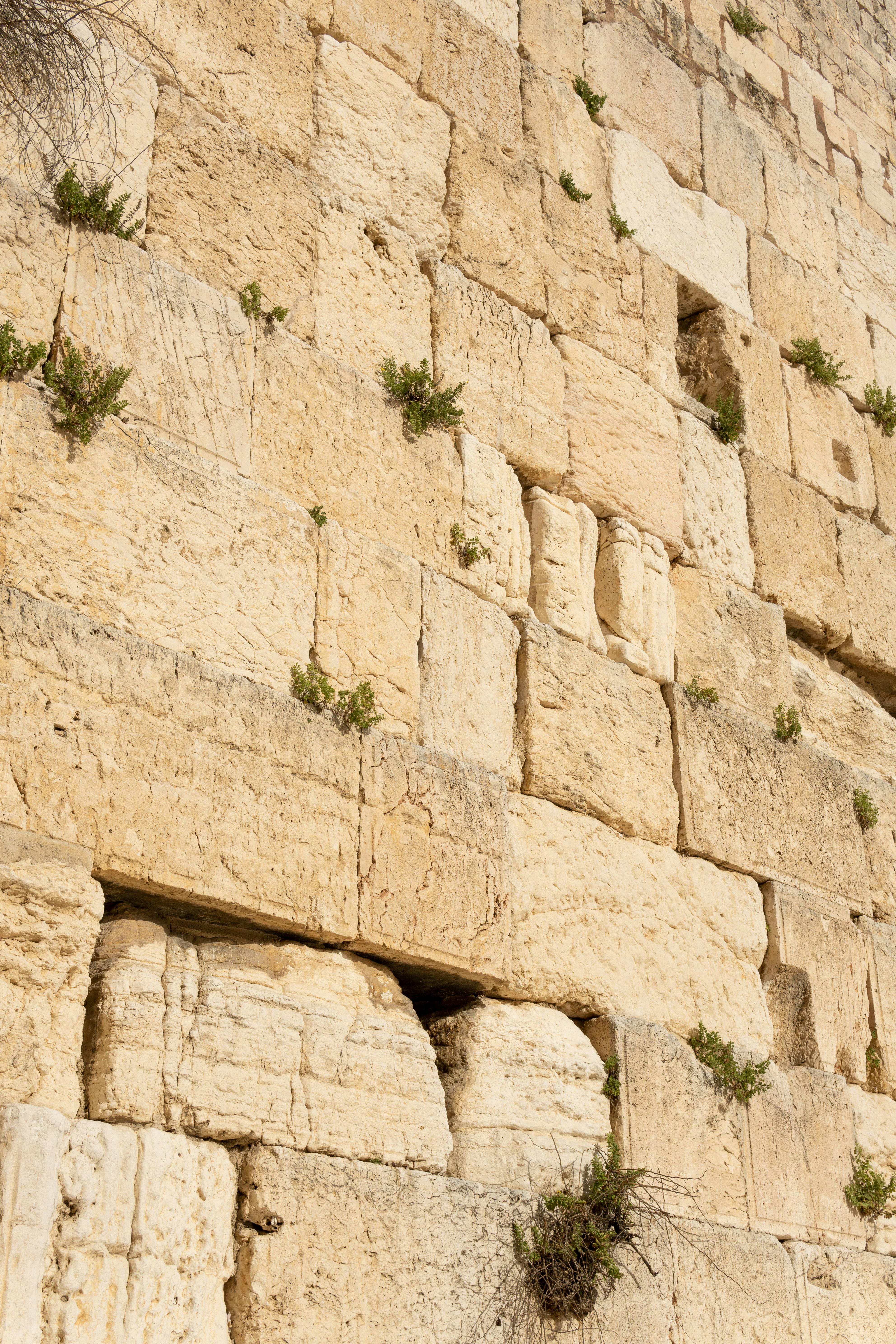 Western Wall Photos, Download The BEST Free Western Wall Stock Photos ...