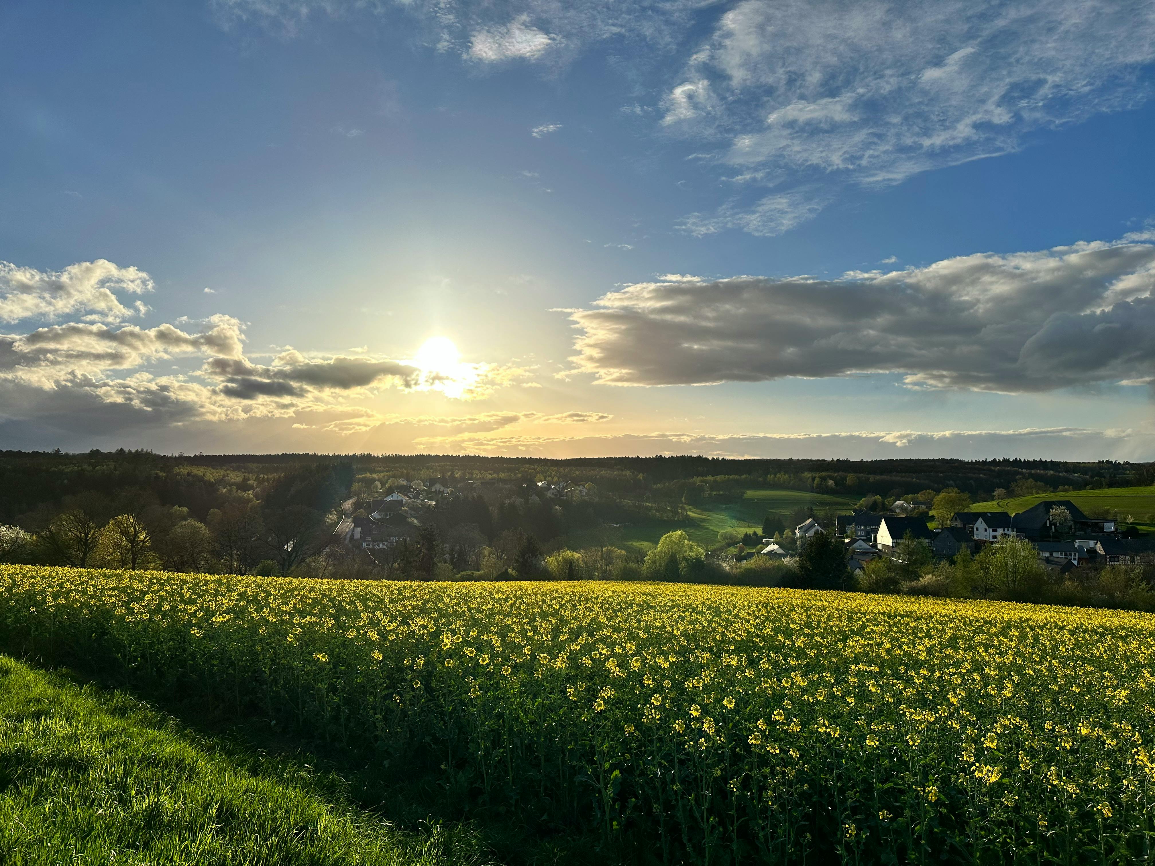 taha yasin - Fotografía