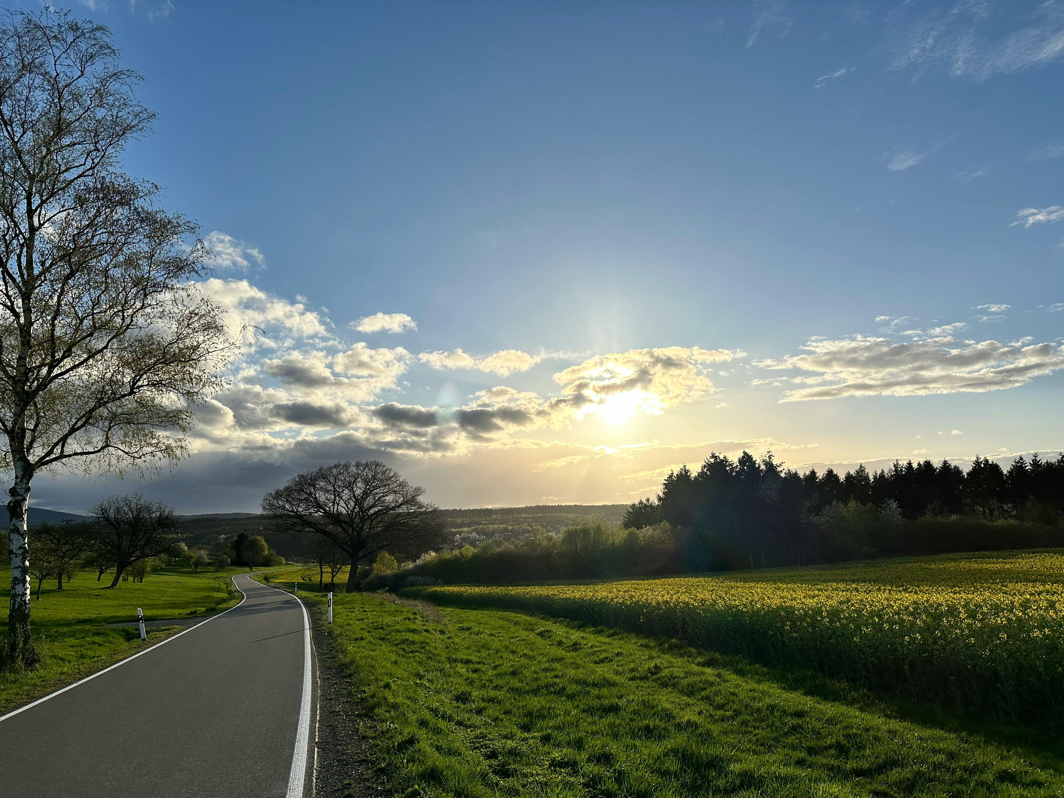 taha yasin - Fotografía