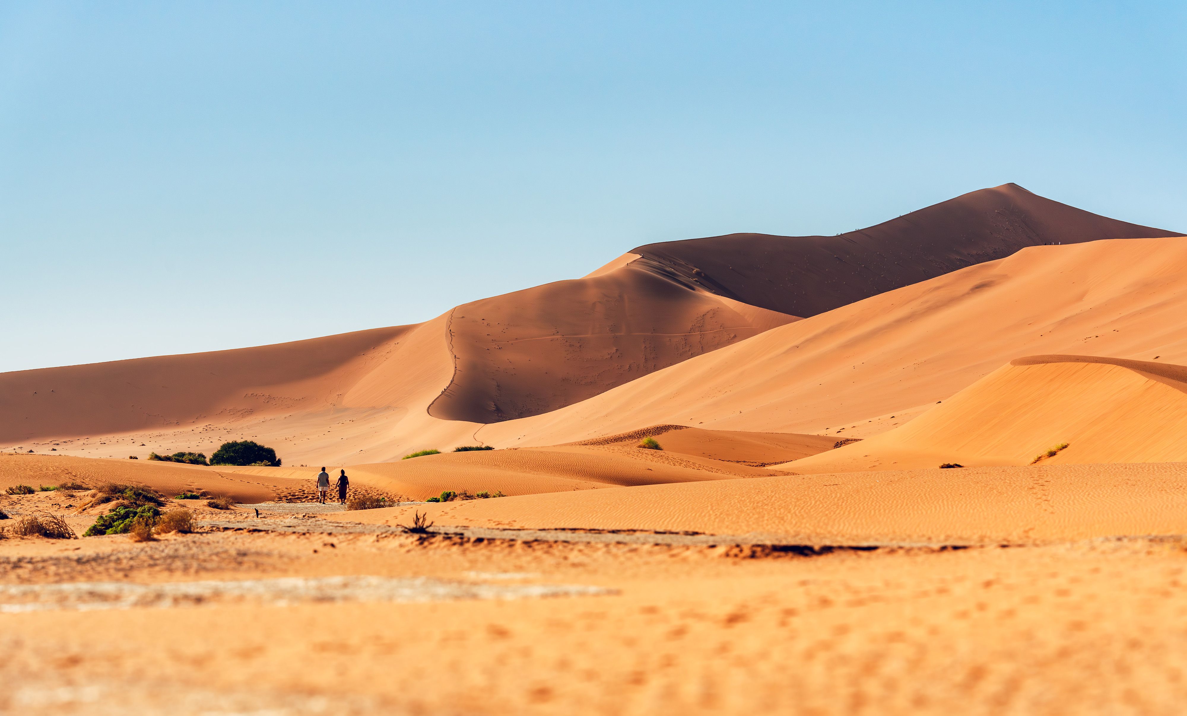 Kulup Dunes Photos, Download The BEST Free Kulup Dunes Stock Photos ...