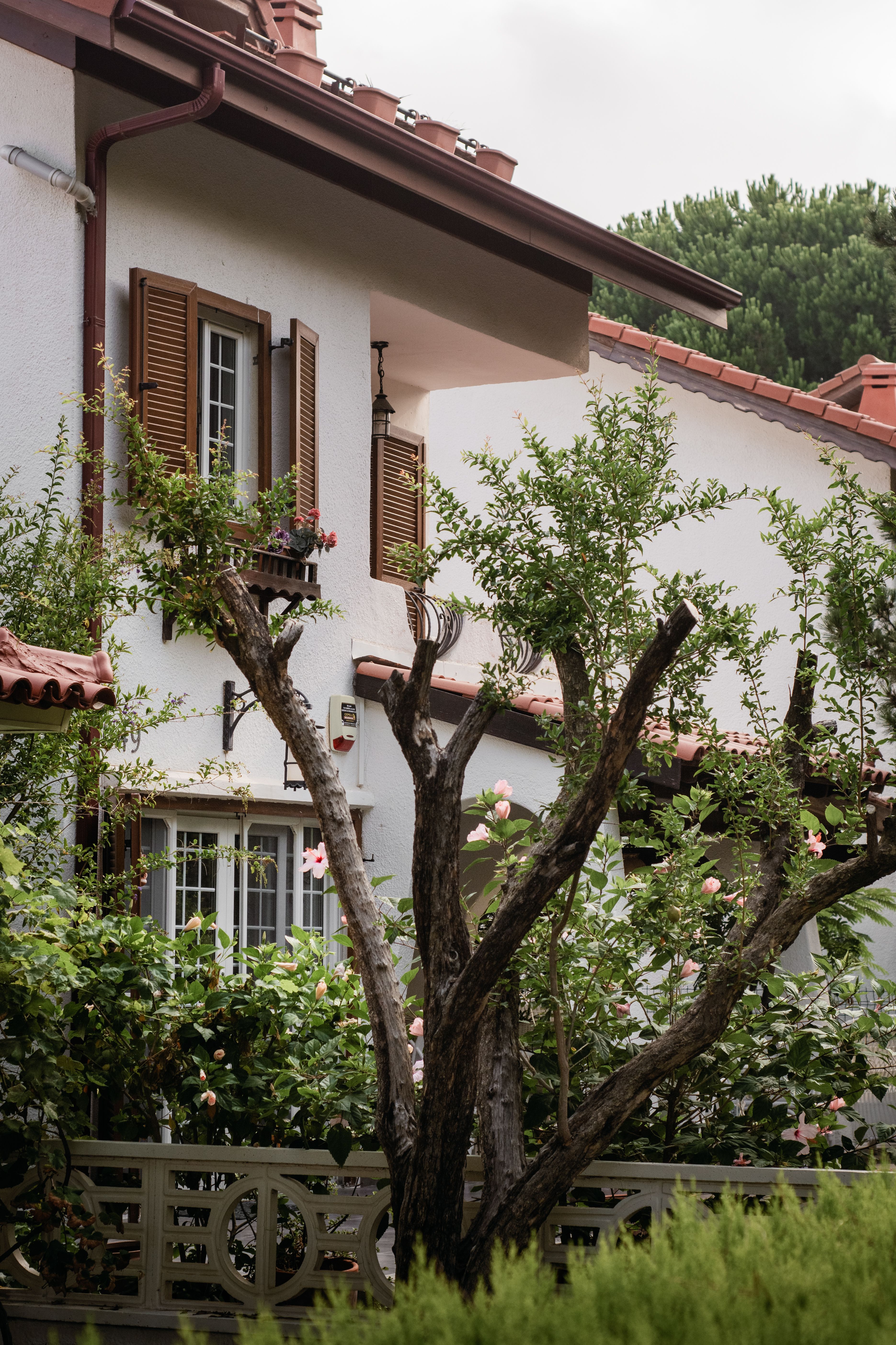 A house with a tree in front of it · Free Stock Photo
