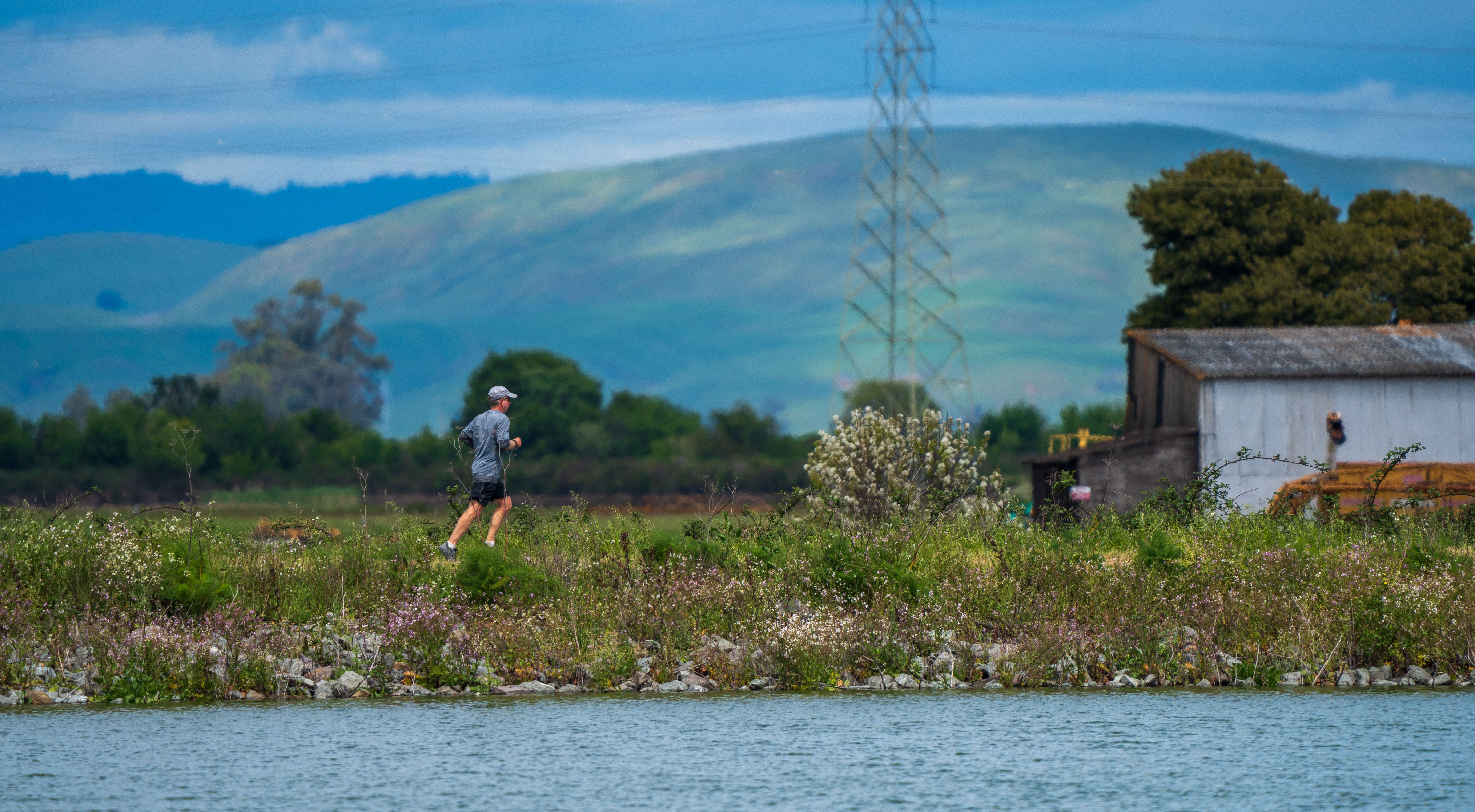 Man Jogging near River in Countryside · Free Stock Photo