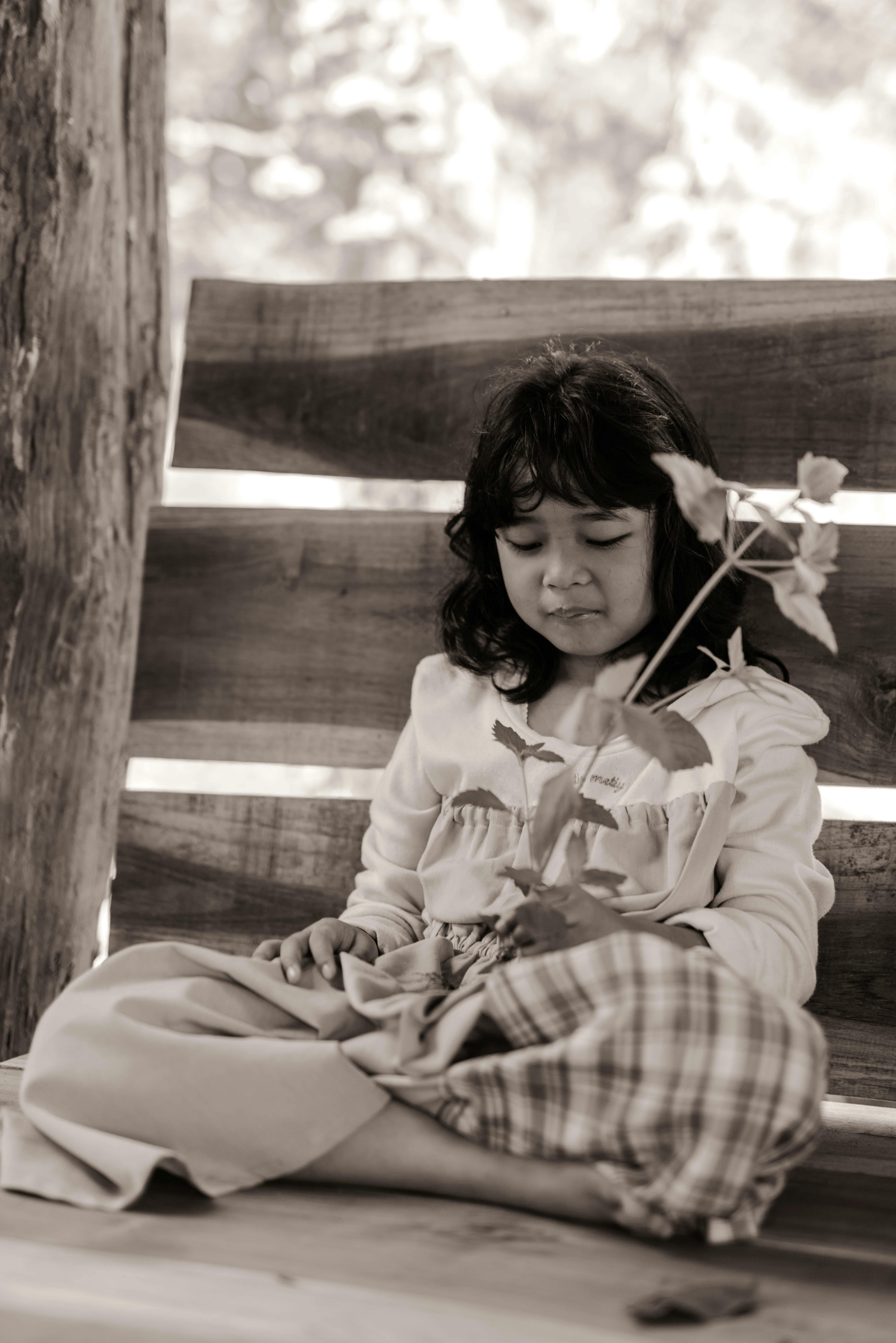 Sepia Tint Photos, Download The BEST Free Sepia Tint Stock Photos & HD Images