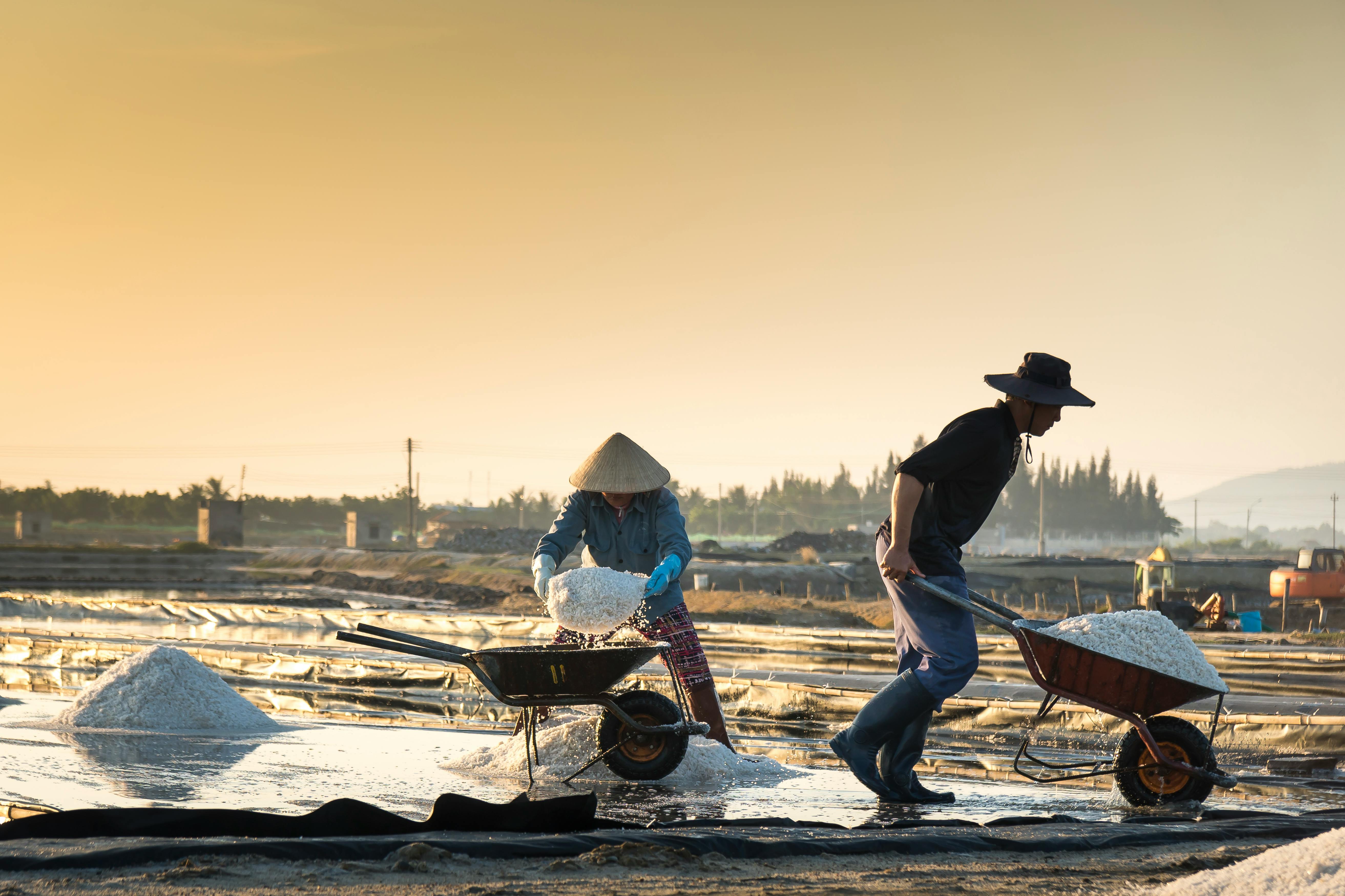 Man Pushing Wheelbarrow · Free Stock Photo