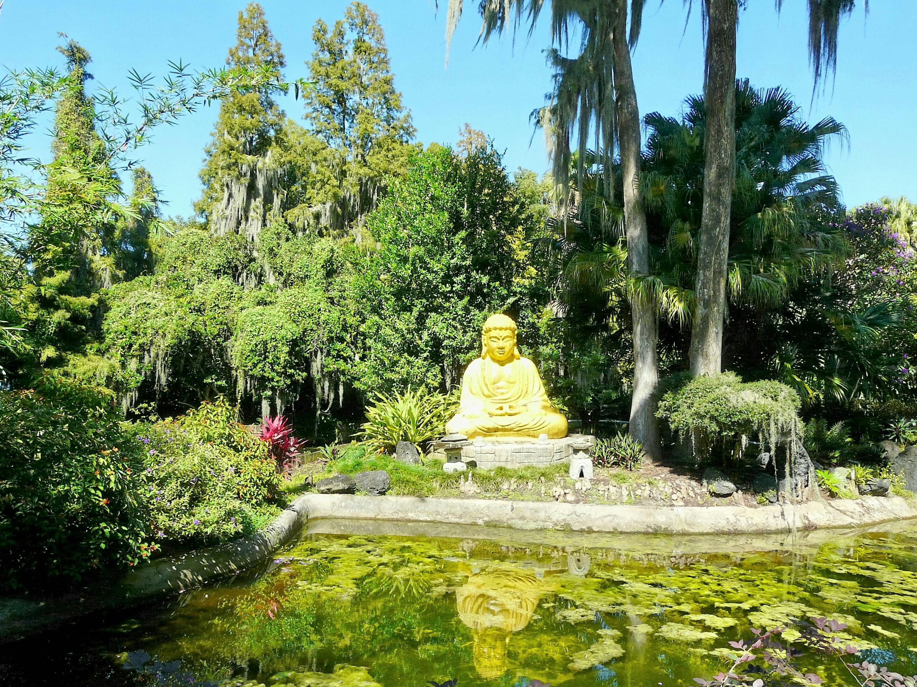 Free stock photo of buddha, nature, statue