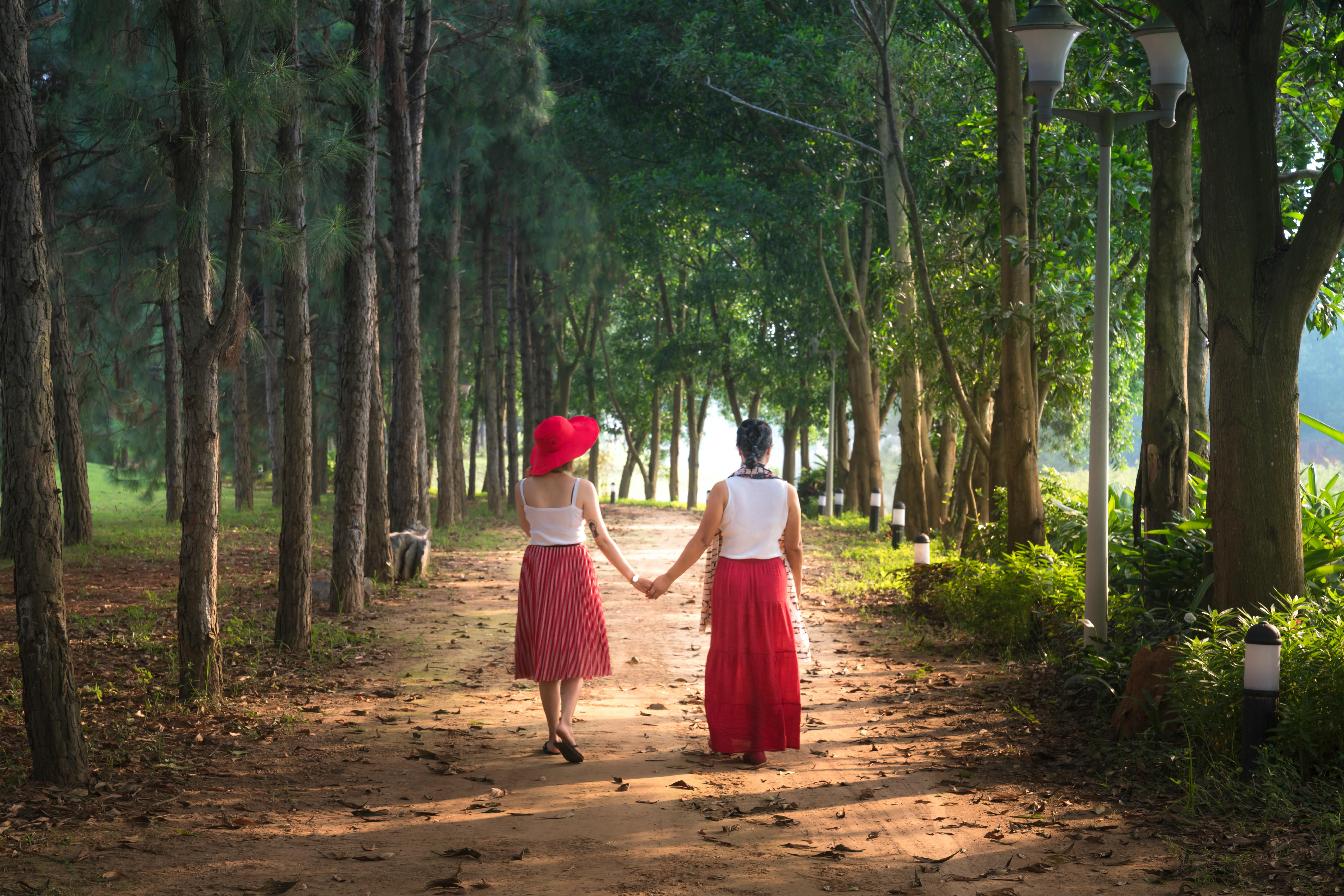 Person Walking Between Trees · Free Stock Photo