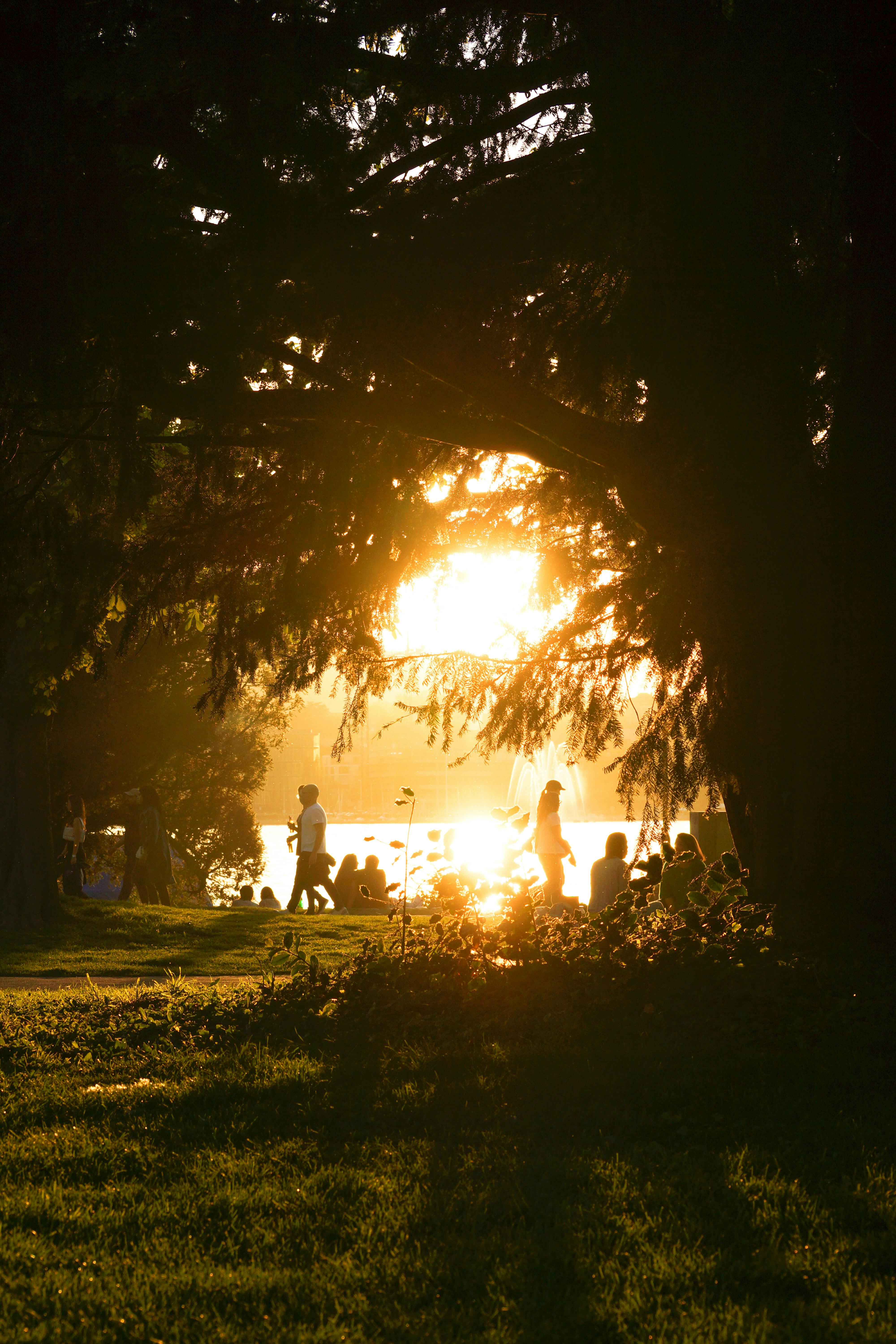 Afternoon sunset · Free Stock Photo