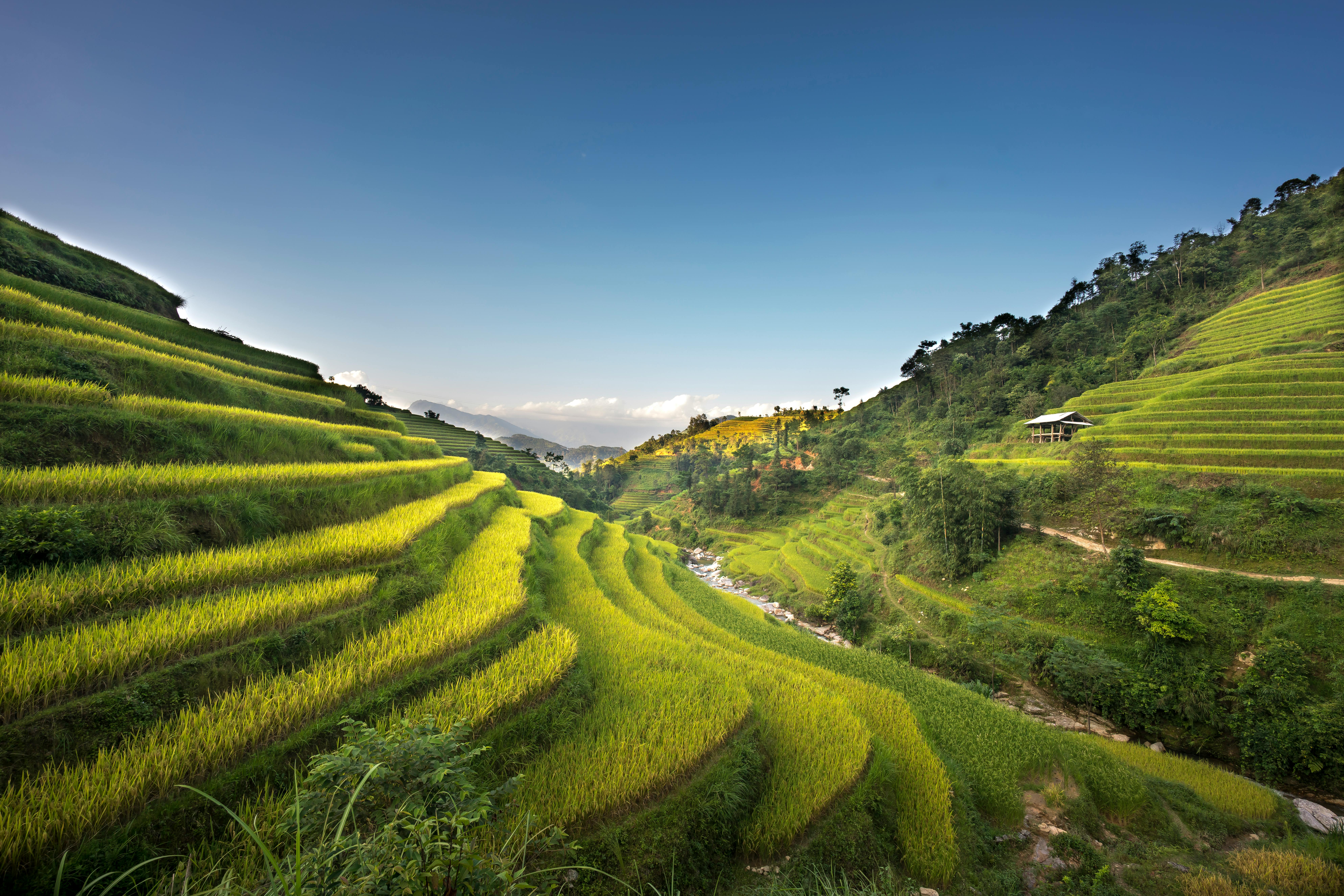View Of Rice Terraces · Free Stock Photo