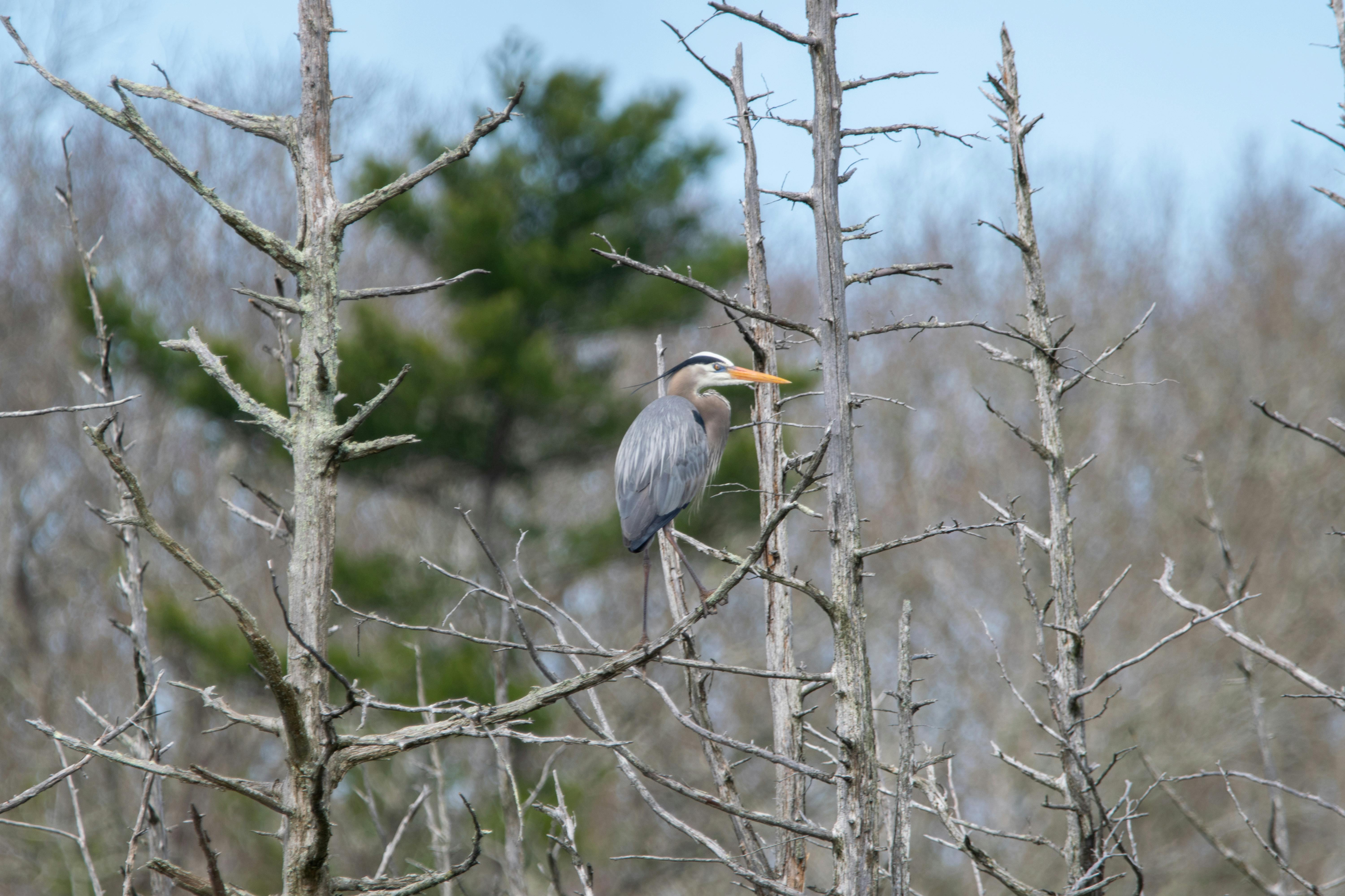 Beth Fitzpatrick - Photography