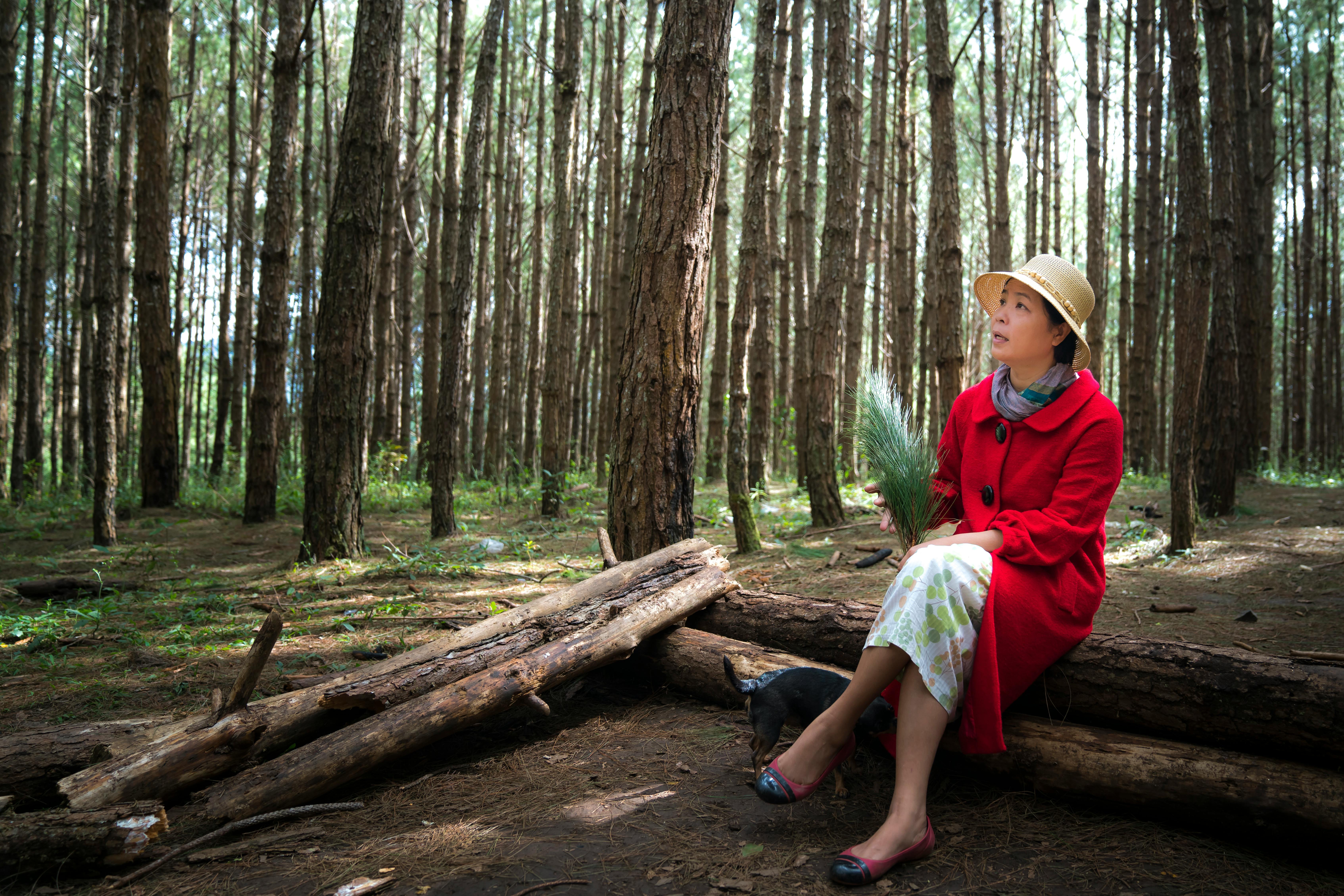 Woman Sitting on Wood Log · Free Stock Photo