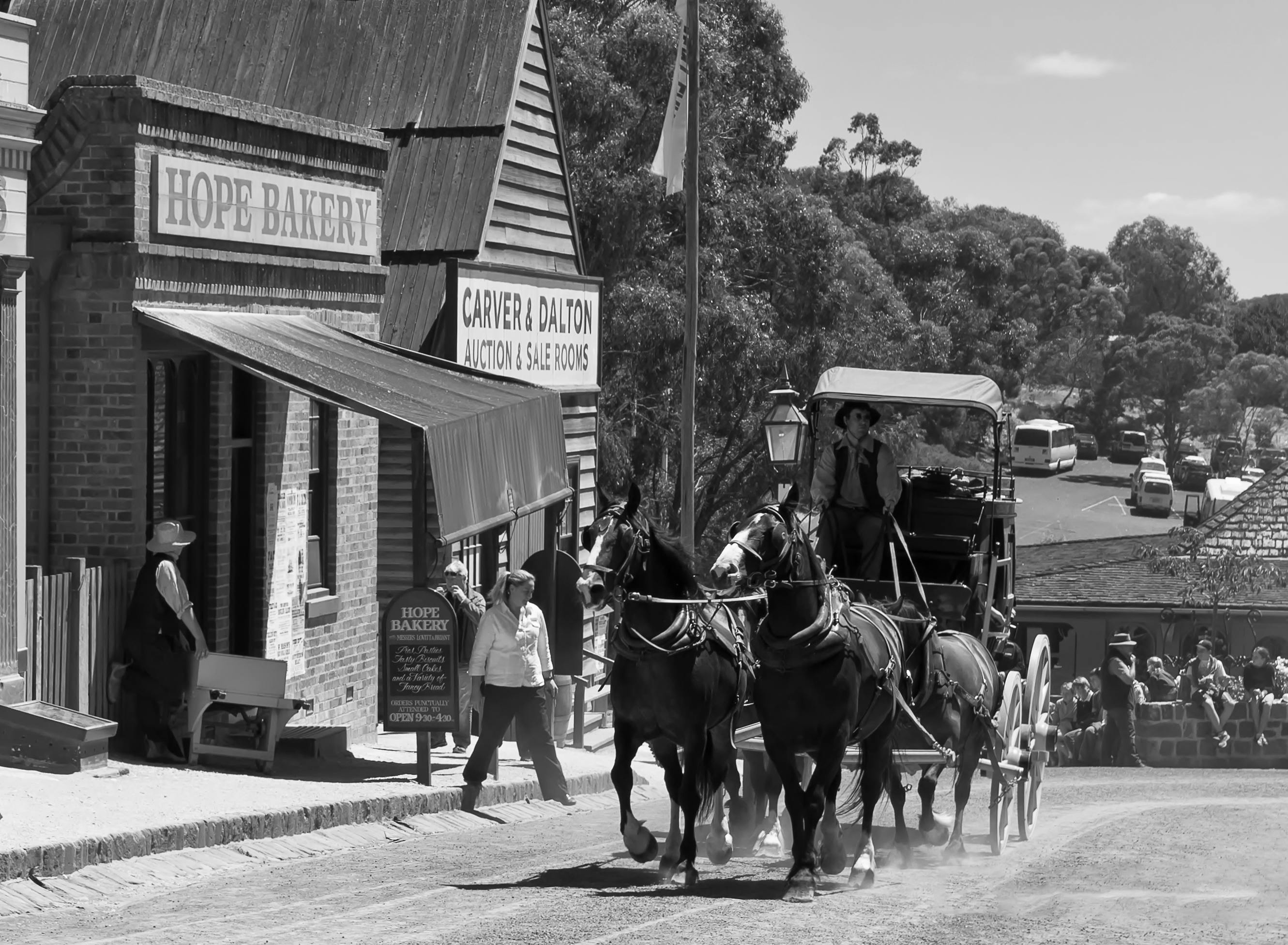 John Torcasio – Fotografia
