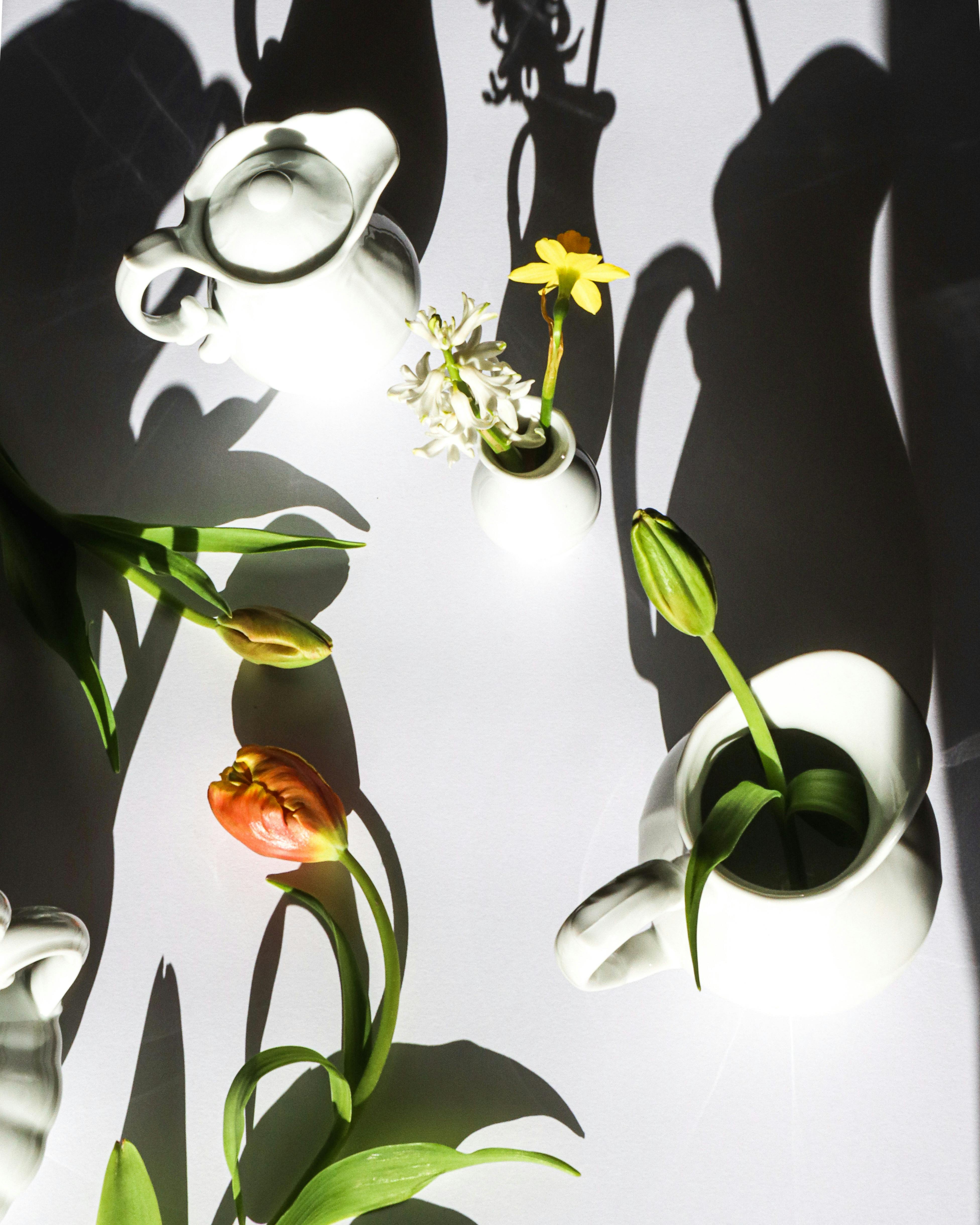 Shadow Vase Photos, Download The BEST Free Shadow Vase Stock Photos ...