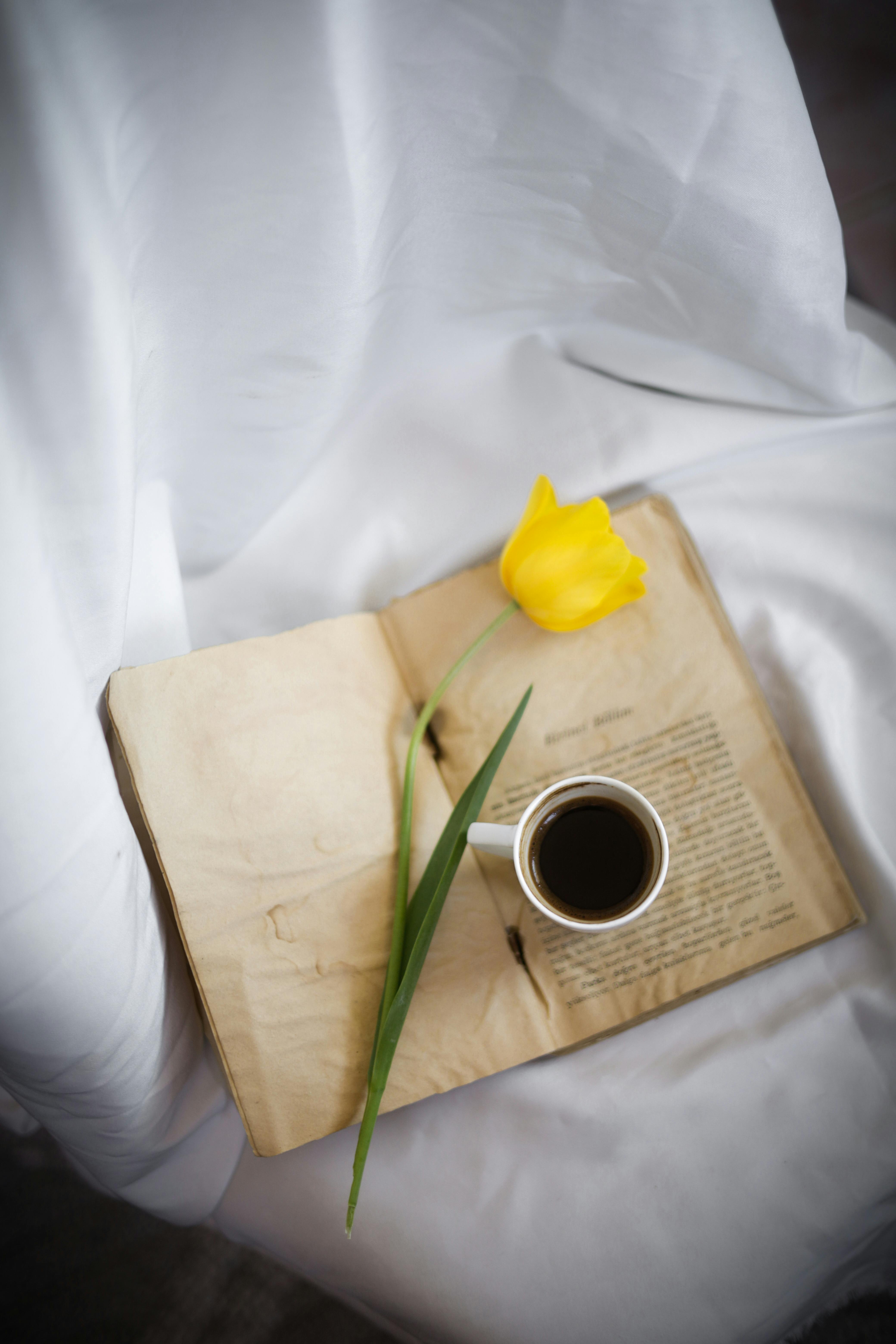 Old Book Color Photos, Download The BEST Free Old Book Color Stock ...