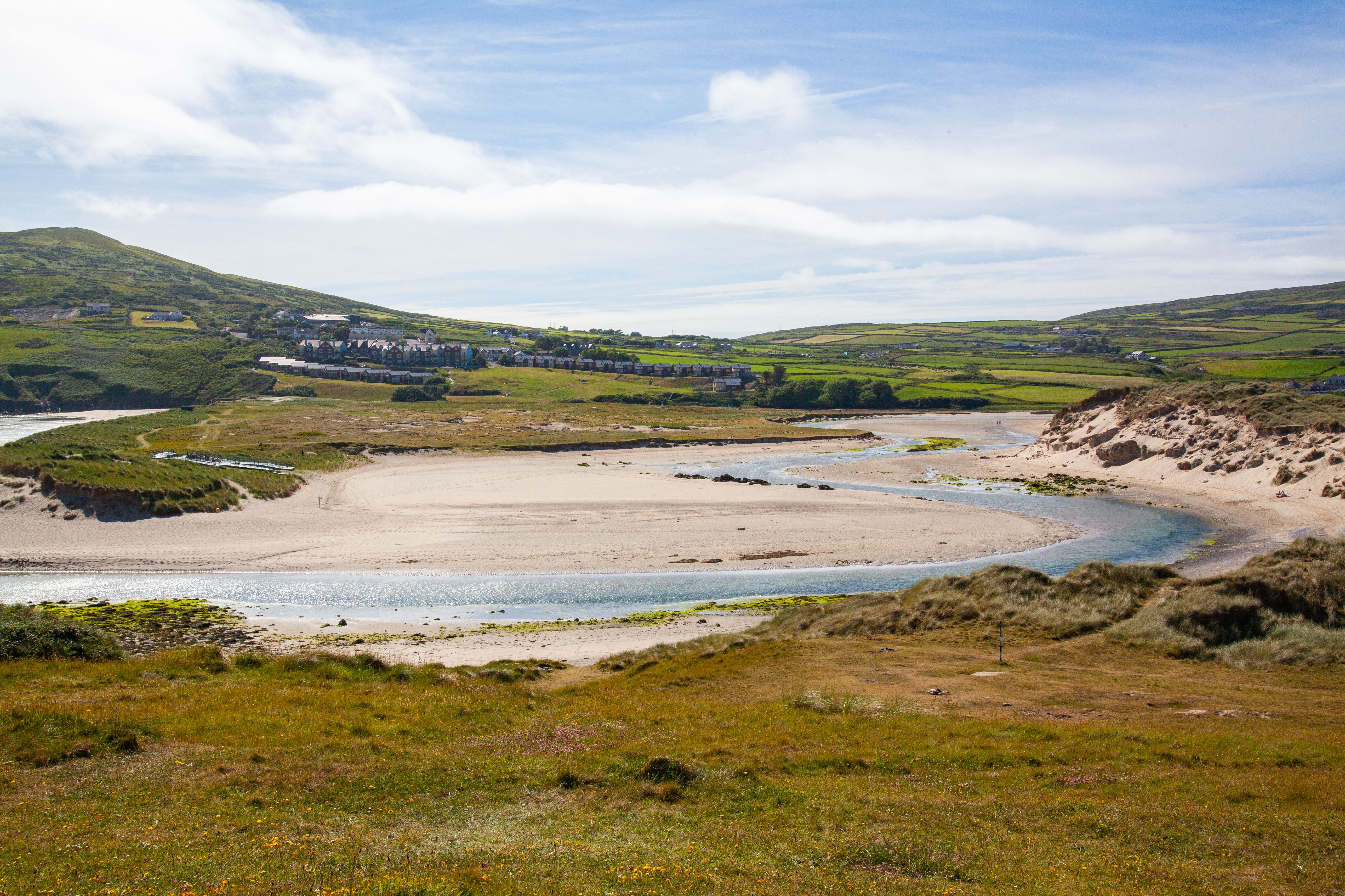 Sandbank on River in Countryside · Free Stock Photo