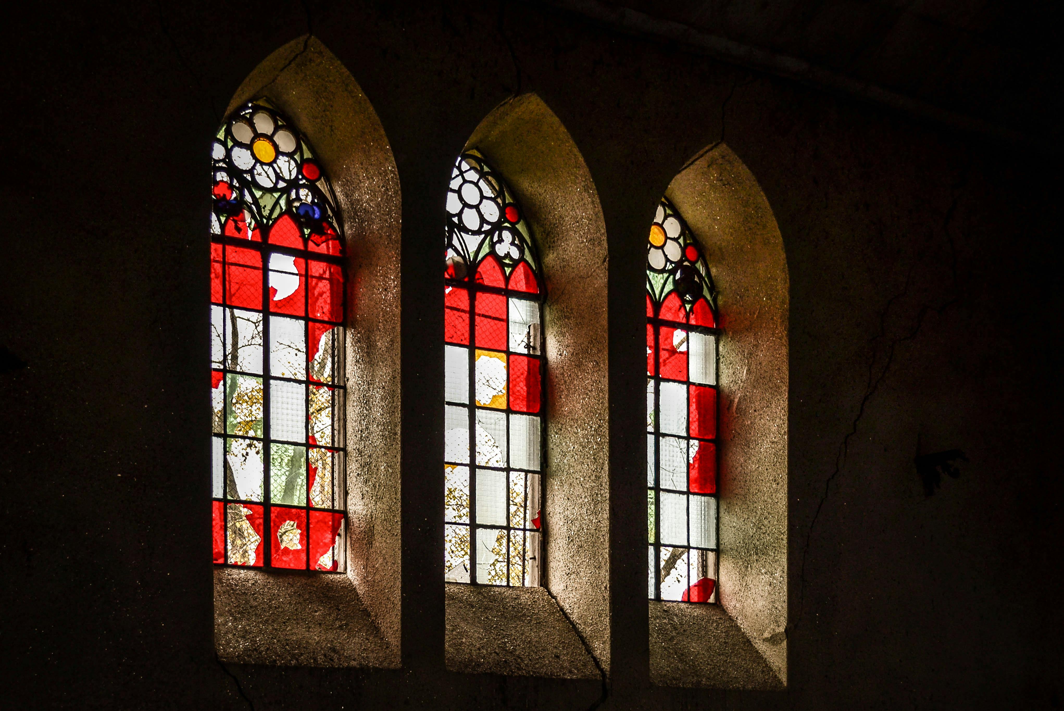 Eli Verenich - 摄影