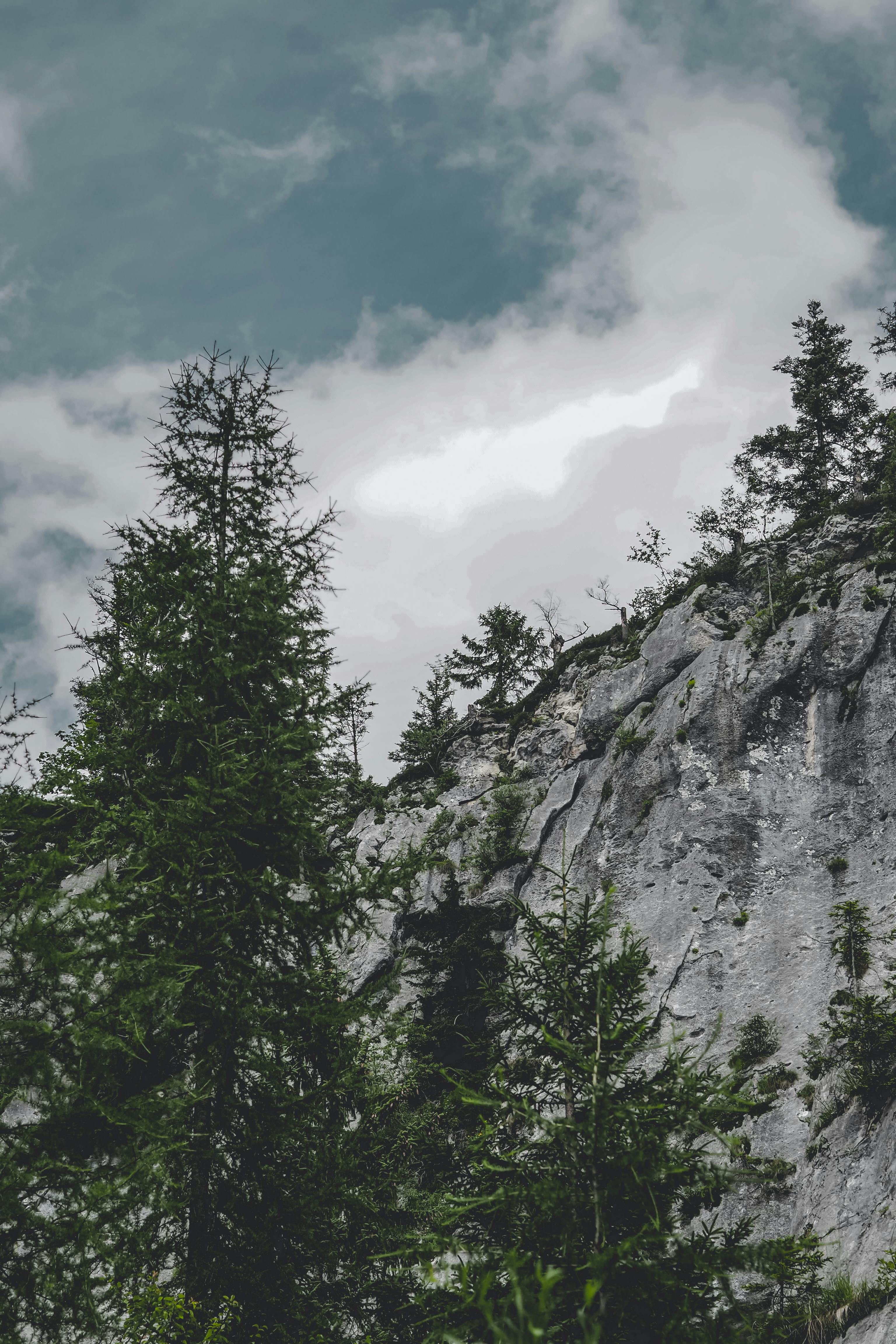 Rock Formation Surrounded by Green Trees during Humid Weather · Free ...