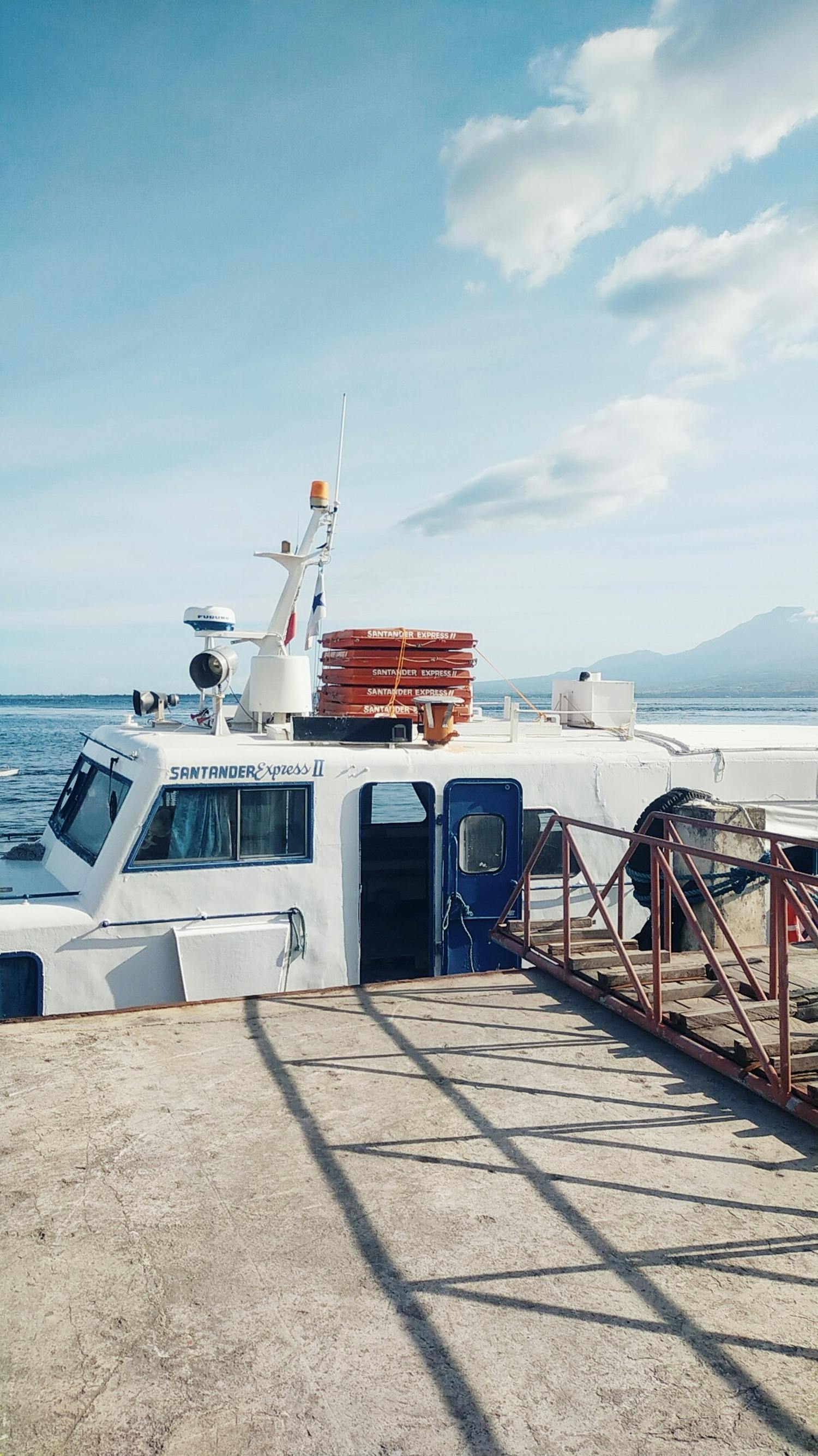 Lebra Llanera - Photography