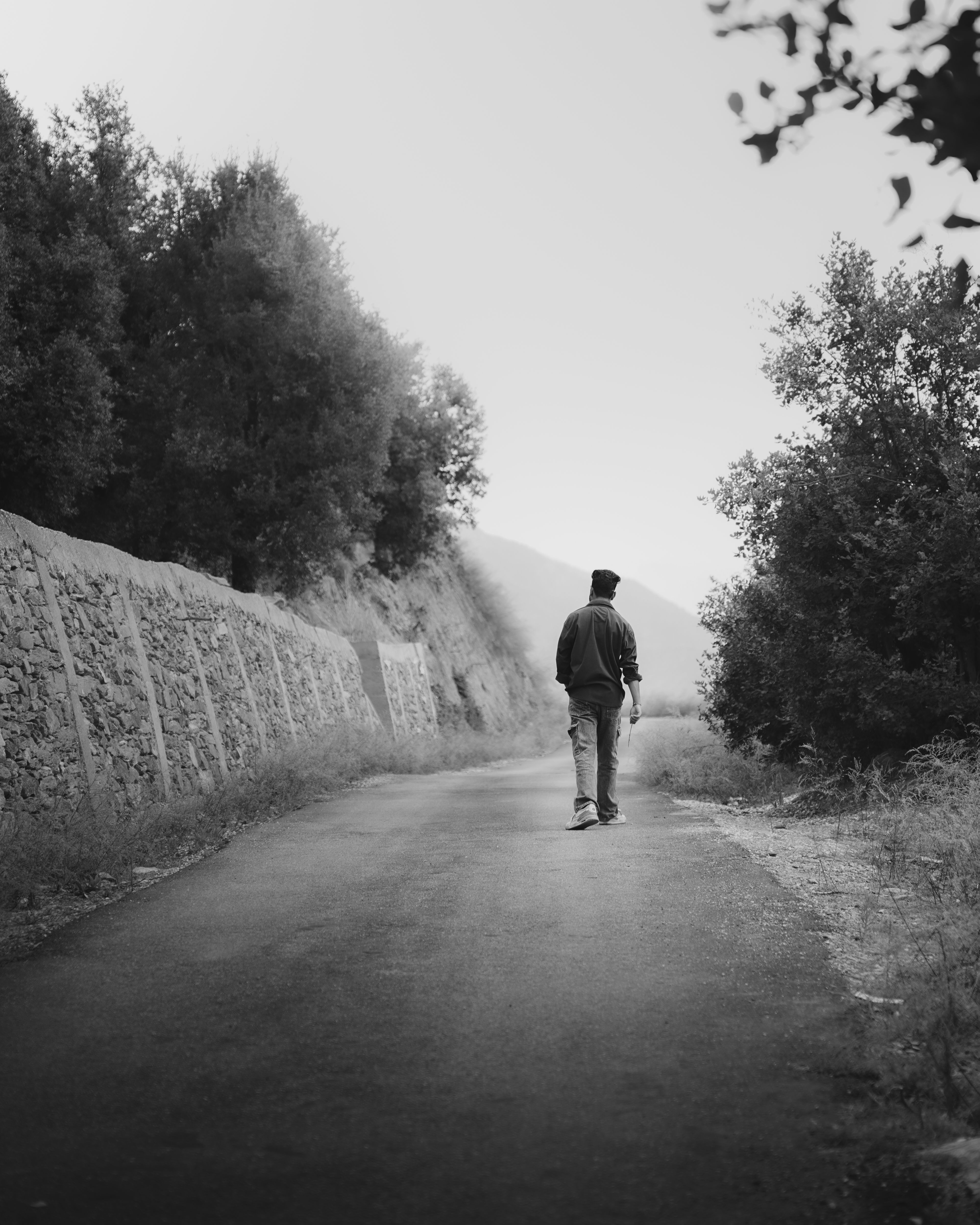 Man on a Path Among Shrubs in Black and White · Free Stock Photo