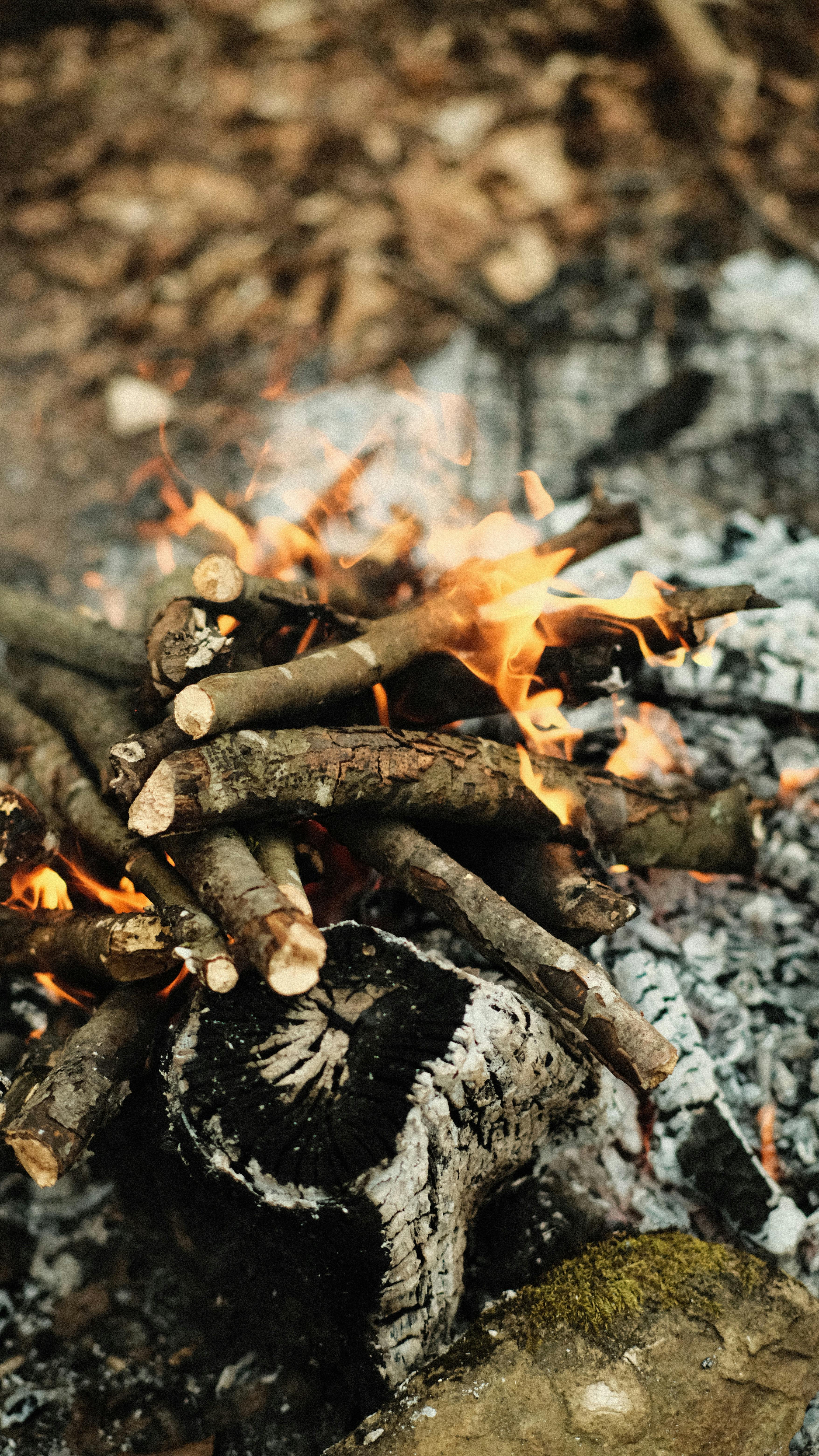 A campfire with logs and sticks on it · Free Stock Photo