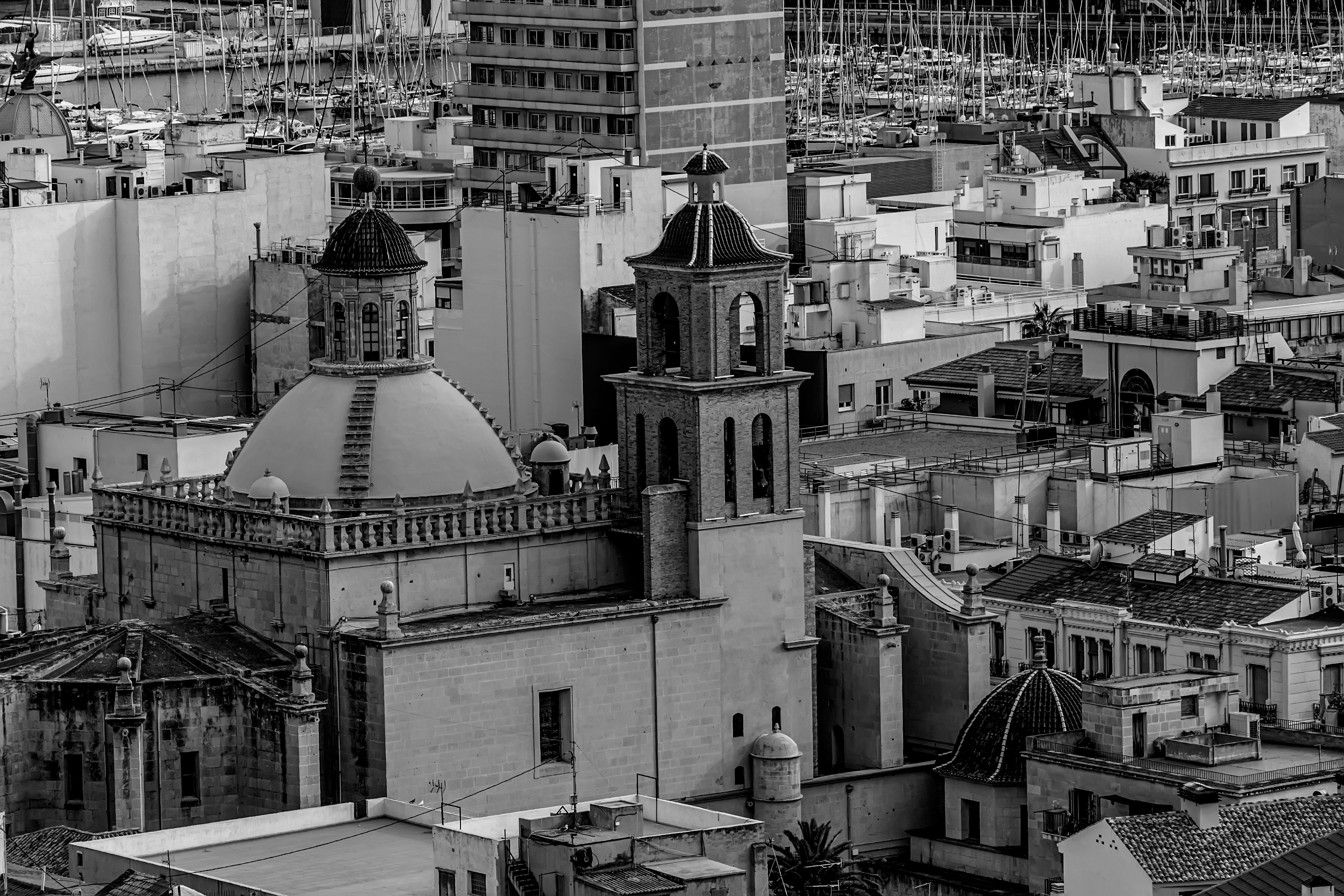 Co-cathedral of St Nicholas of Bari in Aicante in Spain · Free Stock Photo
