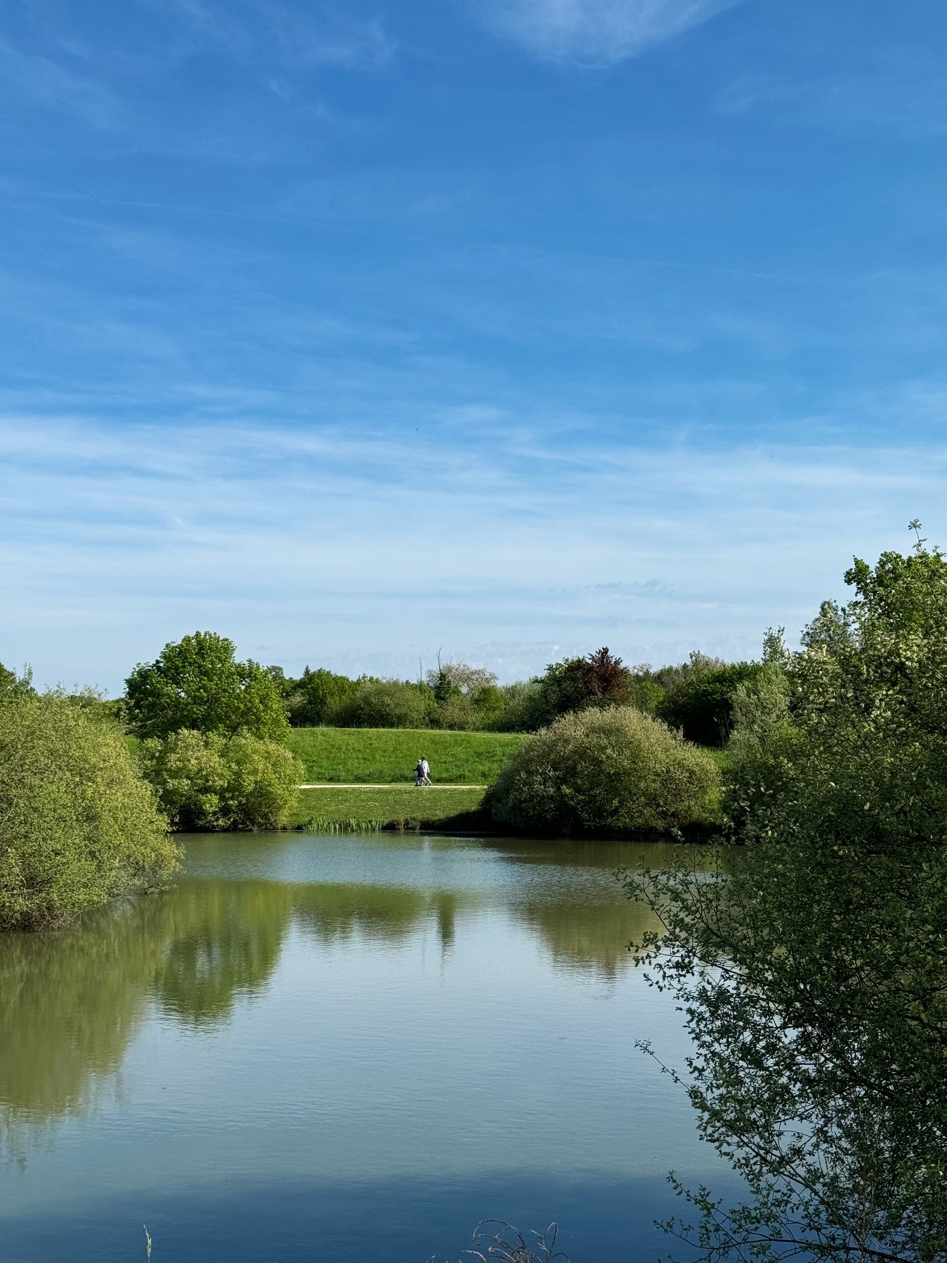 Calm Lake in Countryside · Free Stock Photo