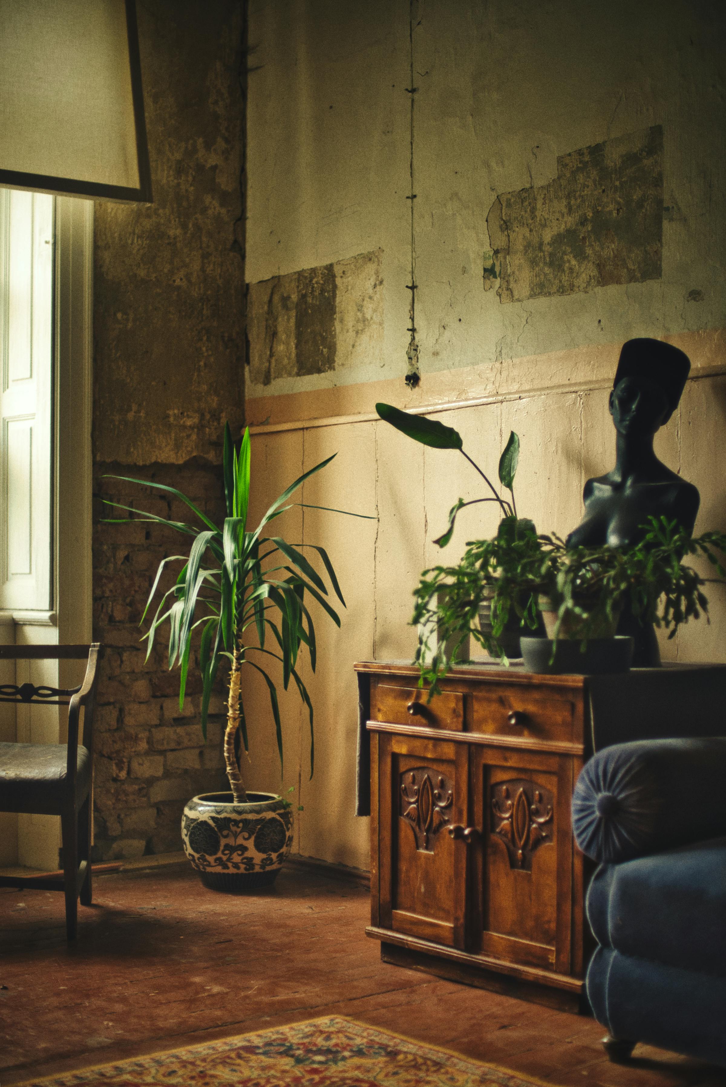 A Room with a Vintage Style Interior and Houseplants · Free Stock Photo