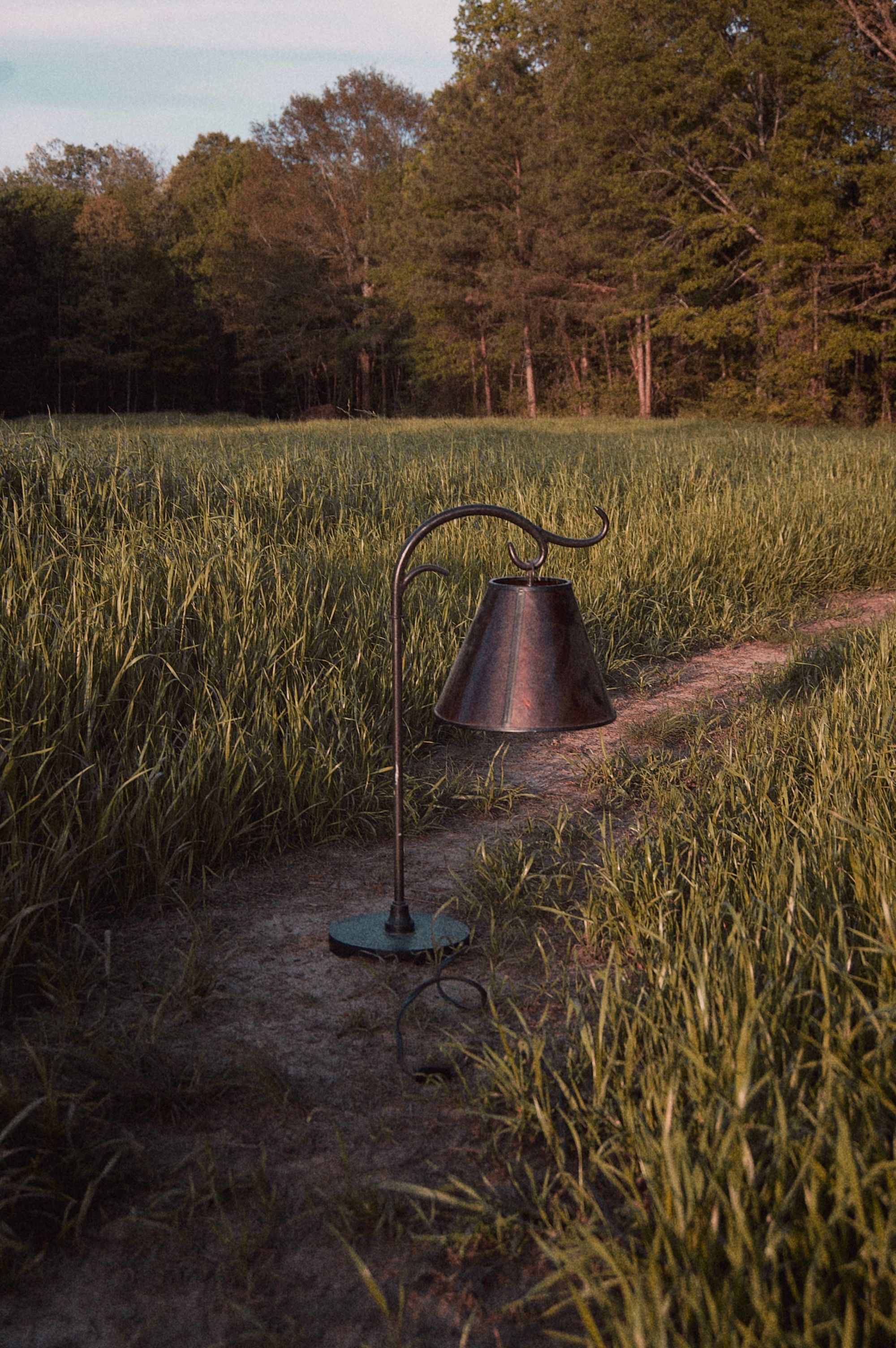 A Vintage Lamp Standing on a Countryside Field · Free Stock Photo