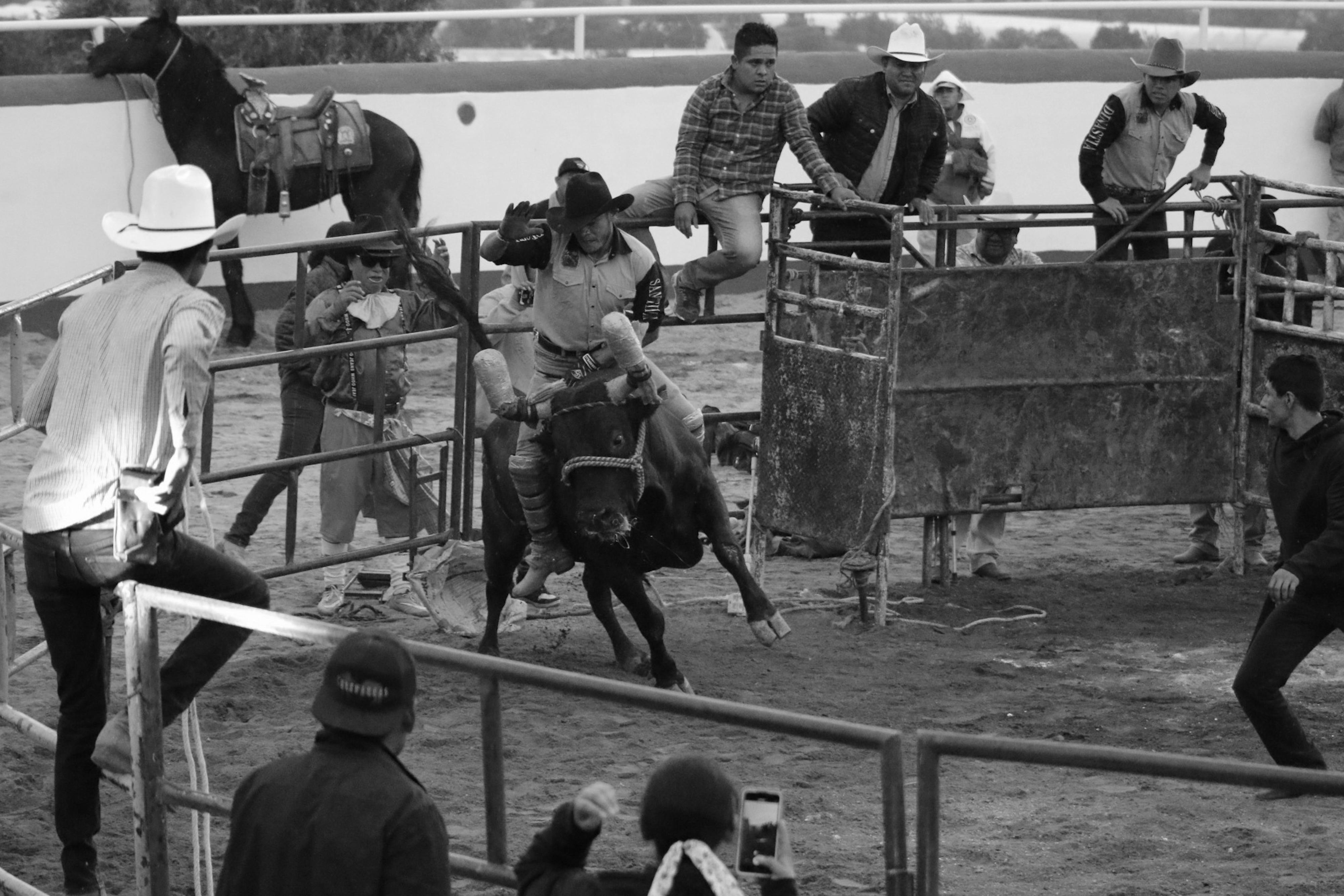 People at a Rodeo · Free Stock Photo