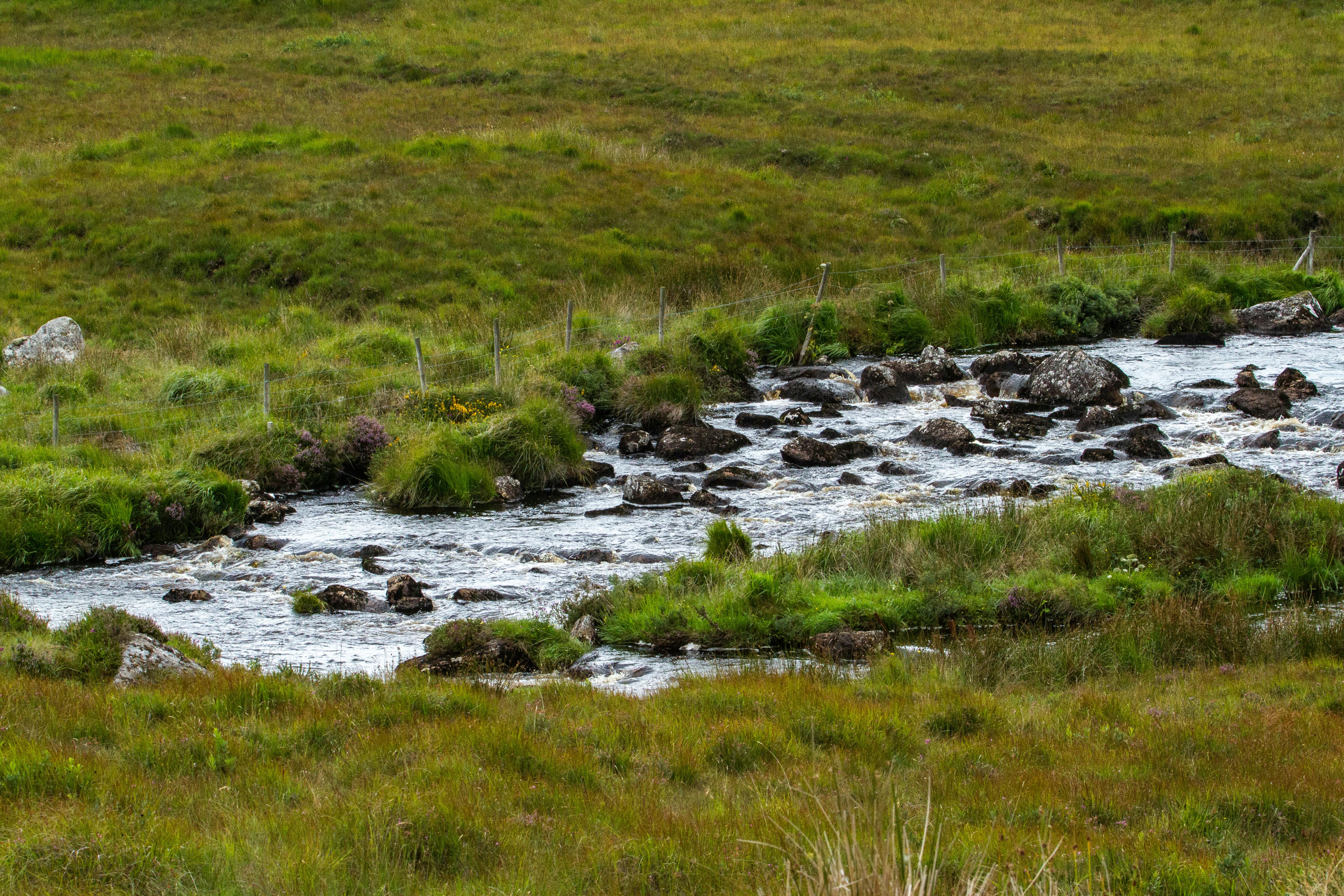 Rocks in Stream · Free Stock Photo