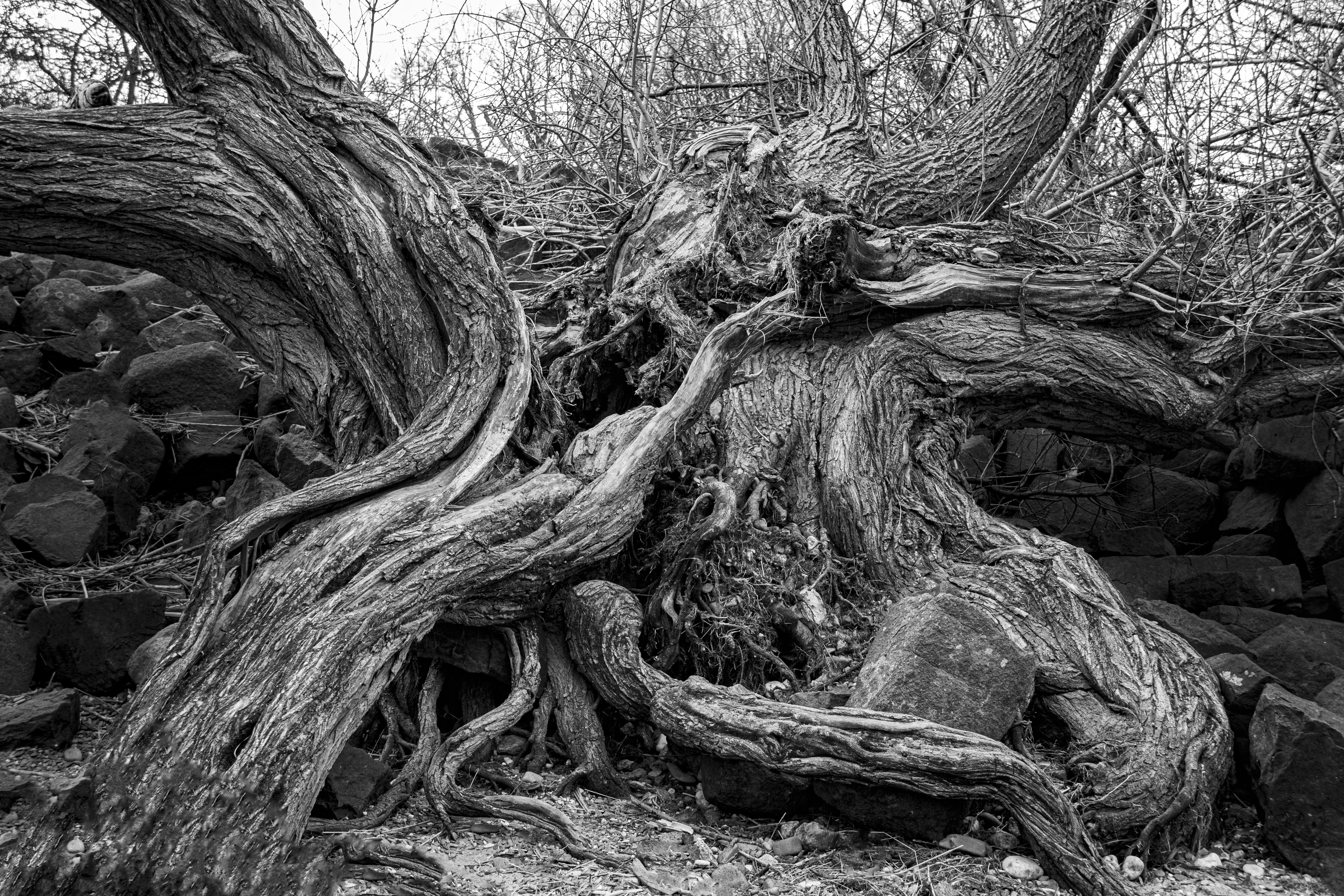 40.000+ Qs=n&form=qbre&sp=-1&ghc=1&lq=14-6&sk=&cvid ...