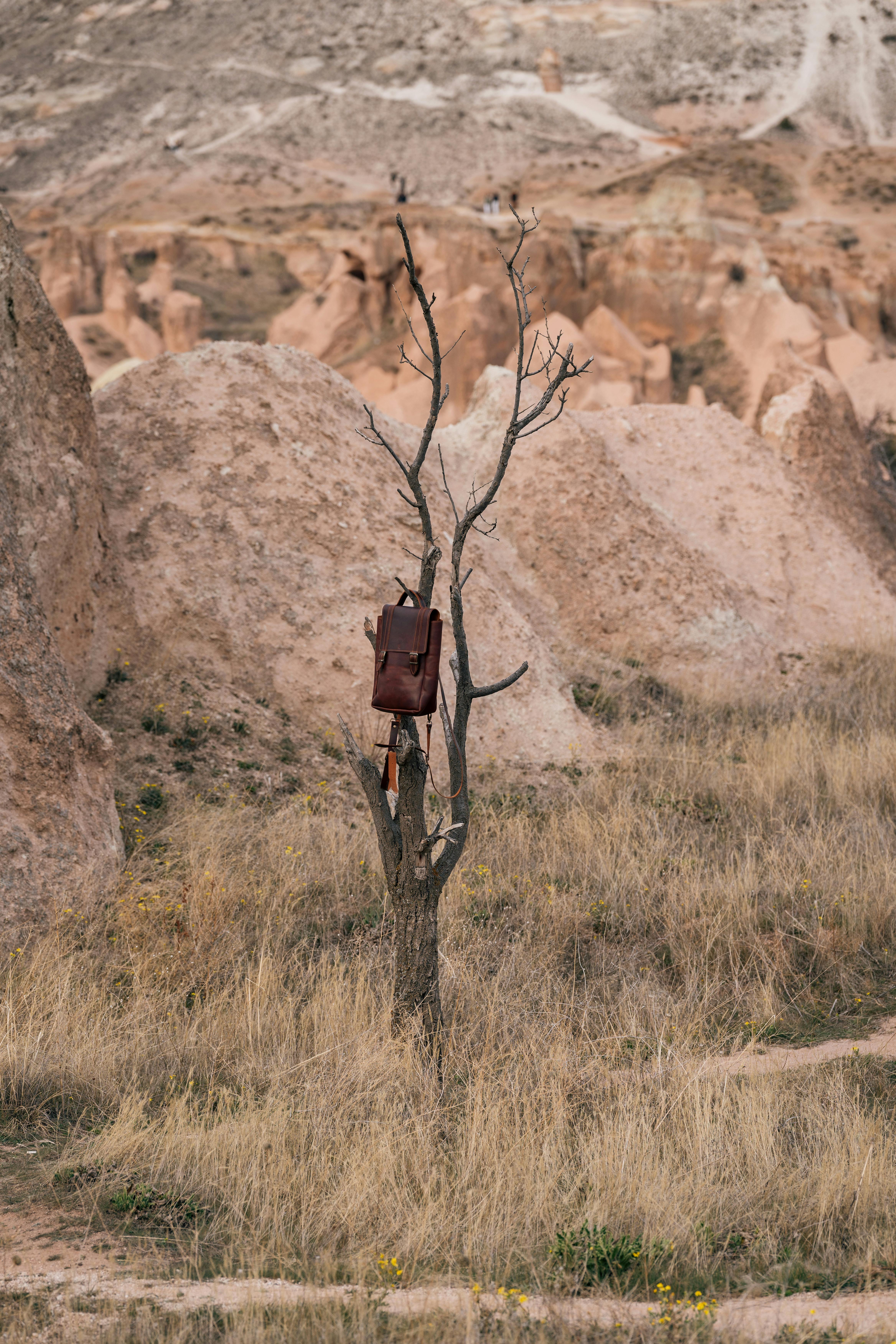 Offline Photos, Download The BEST Free Offline Stock Photos & HD Images