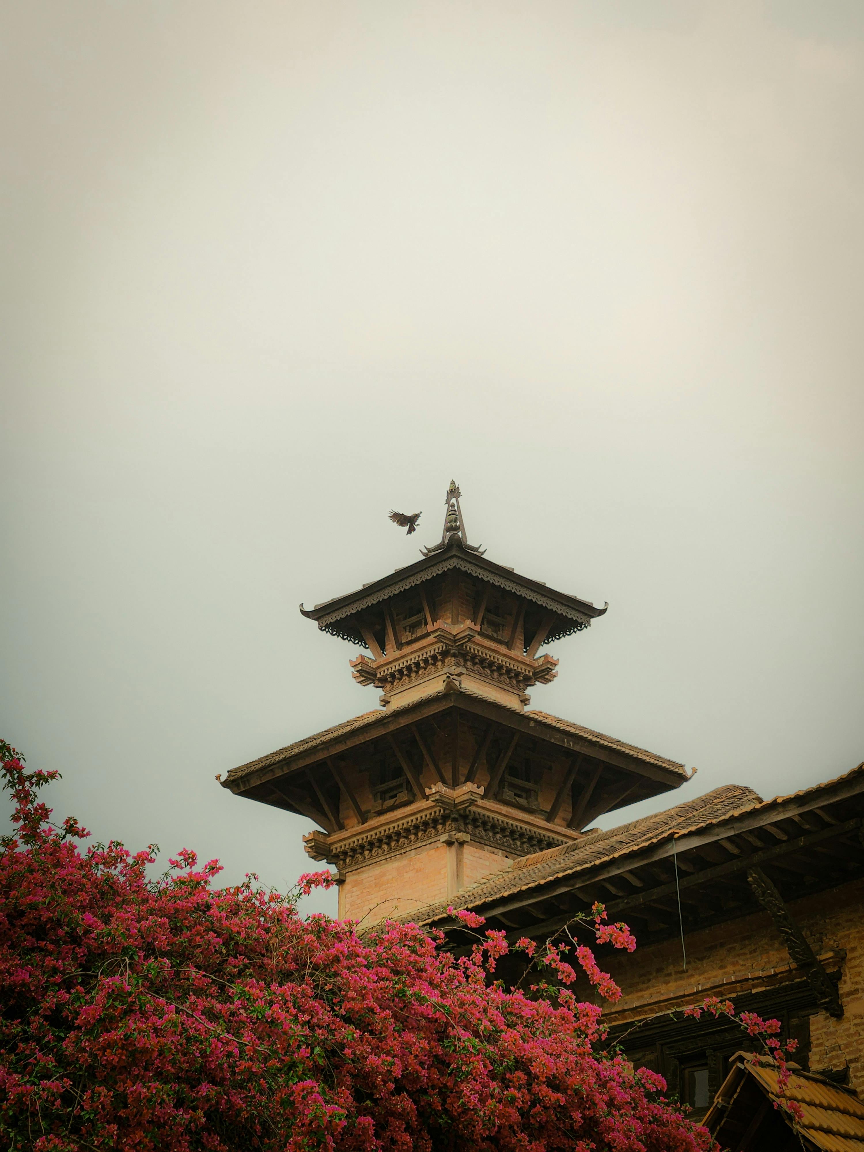 Templo Pagode No Nepal · Foto profissional gratuita