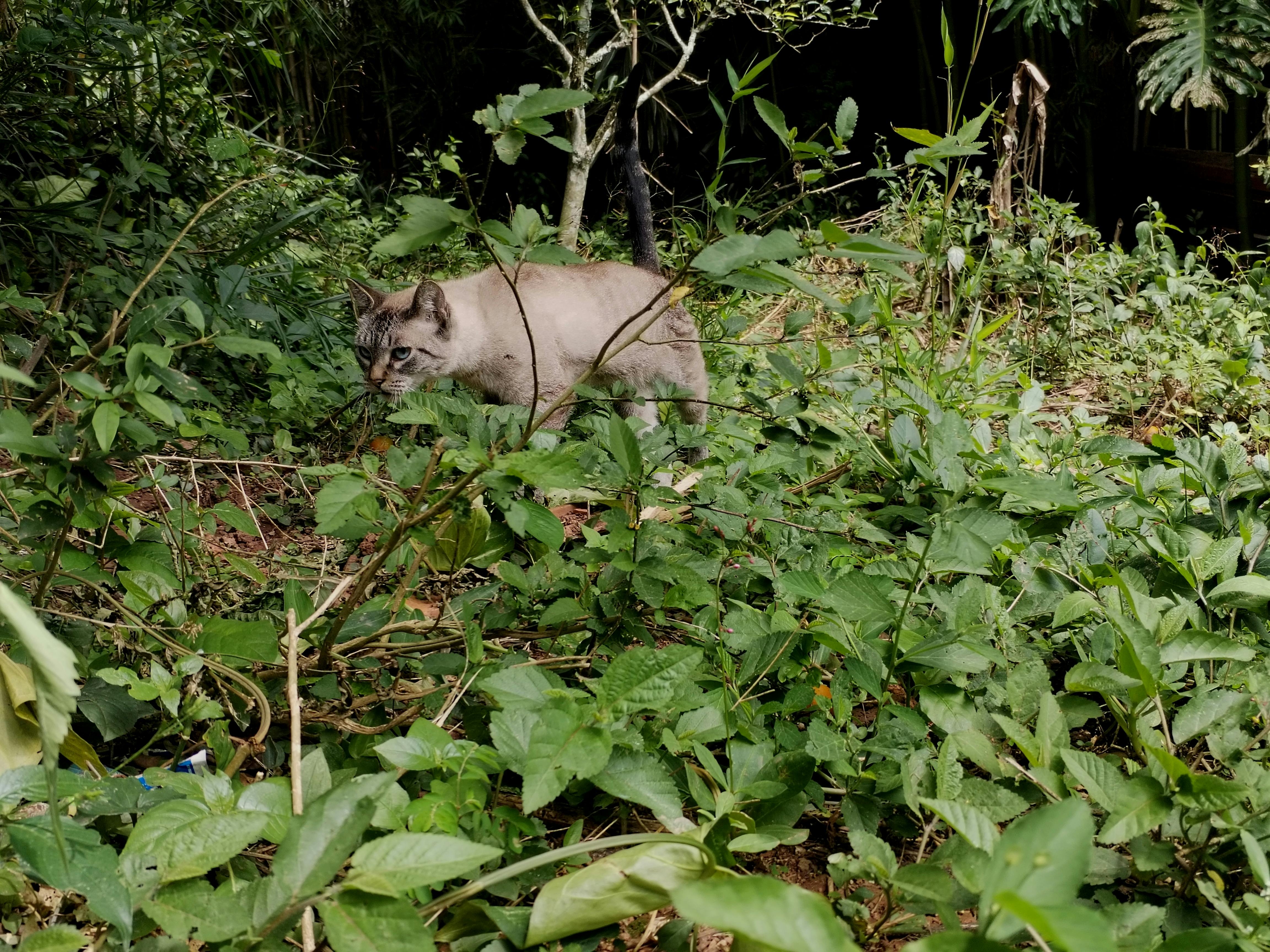 Daniel Bertoli - 摄影