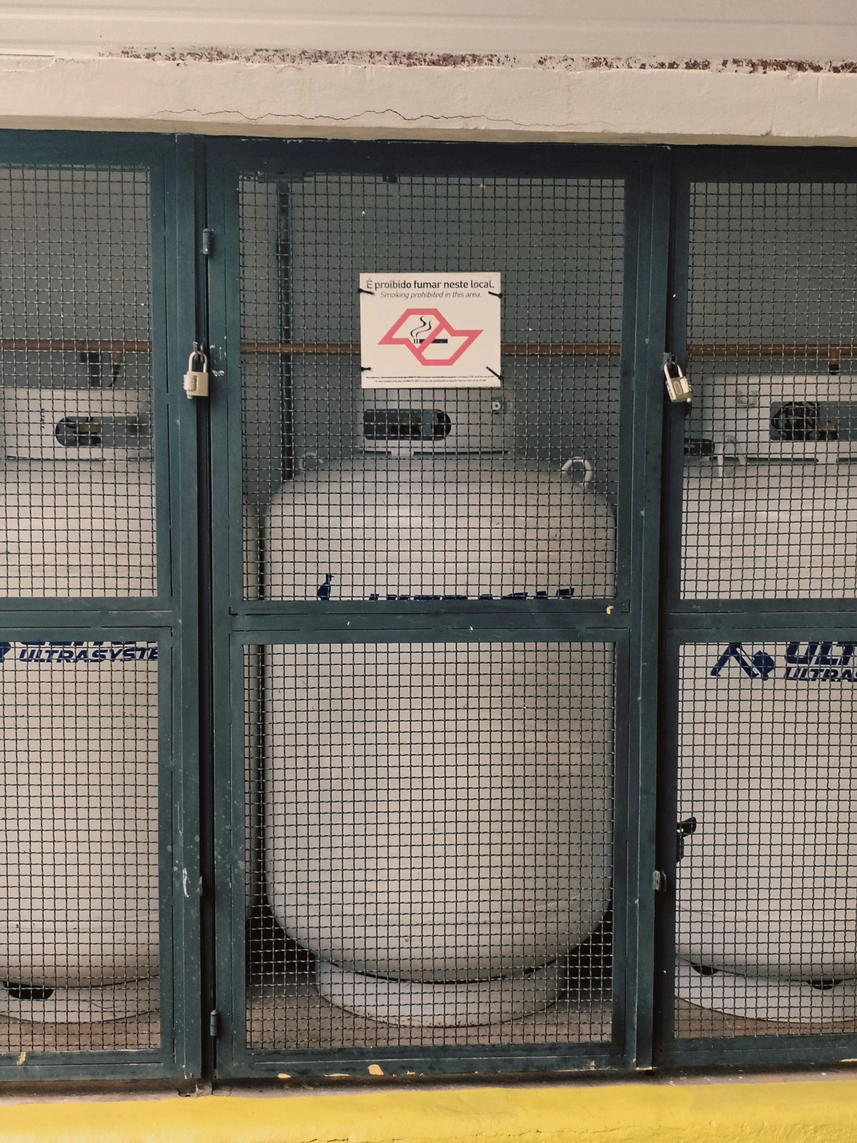 Daniel Bertoli - 摄影