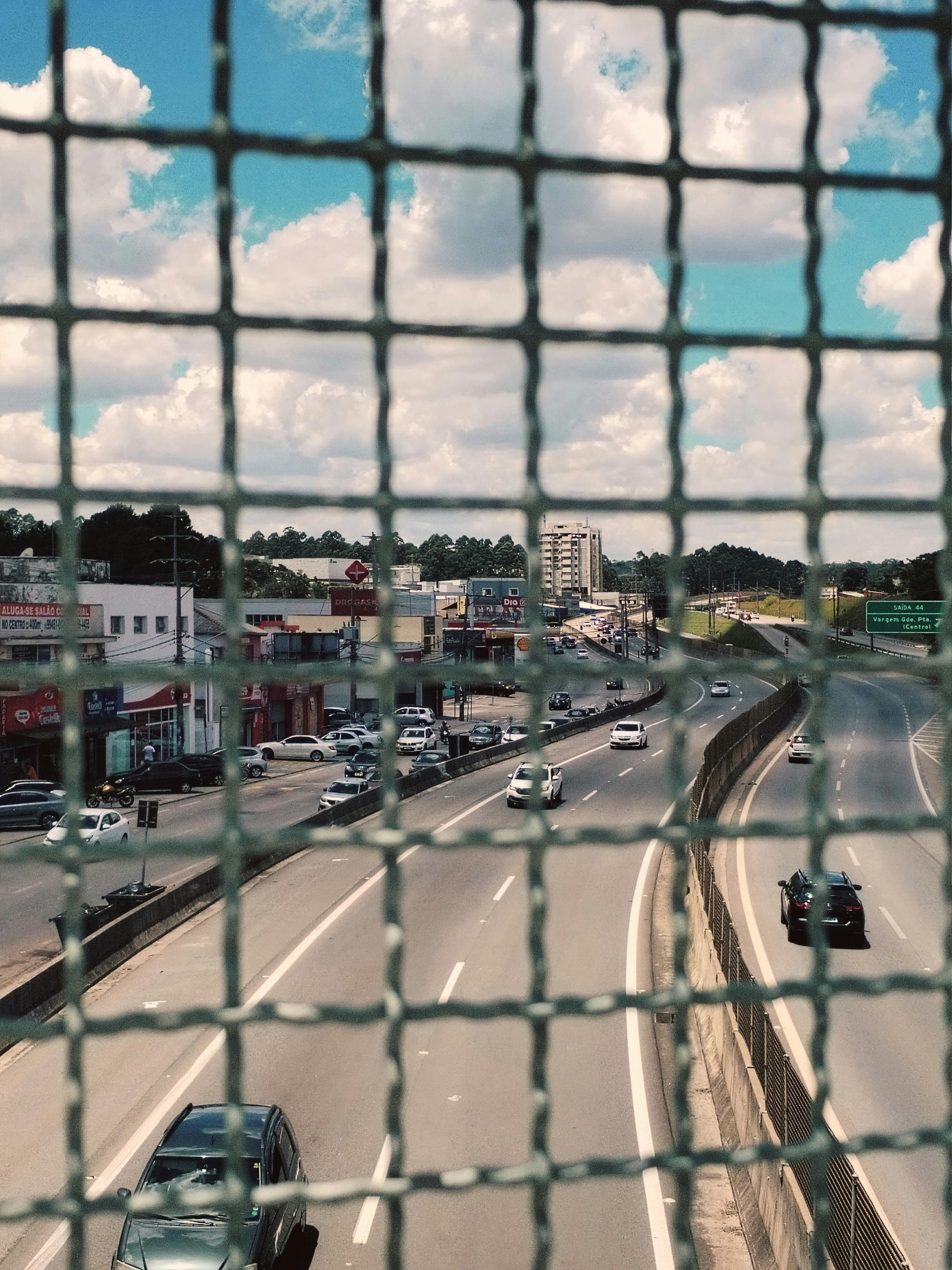 Daniel Bertoli - 摄影