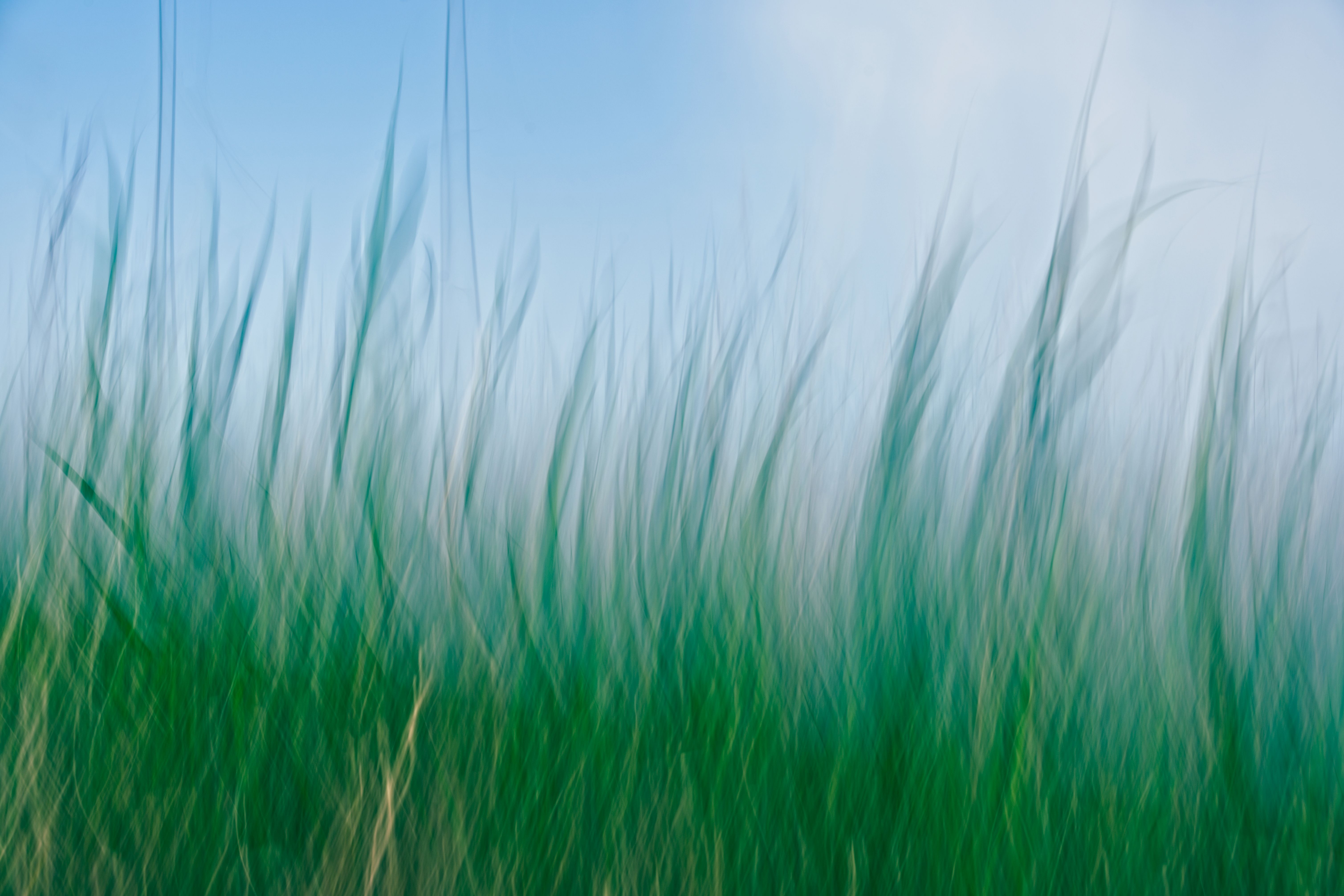 Marsh Girl Wallpaper Photos, Download The BEST Free Marsh Girl ...